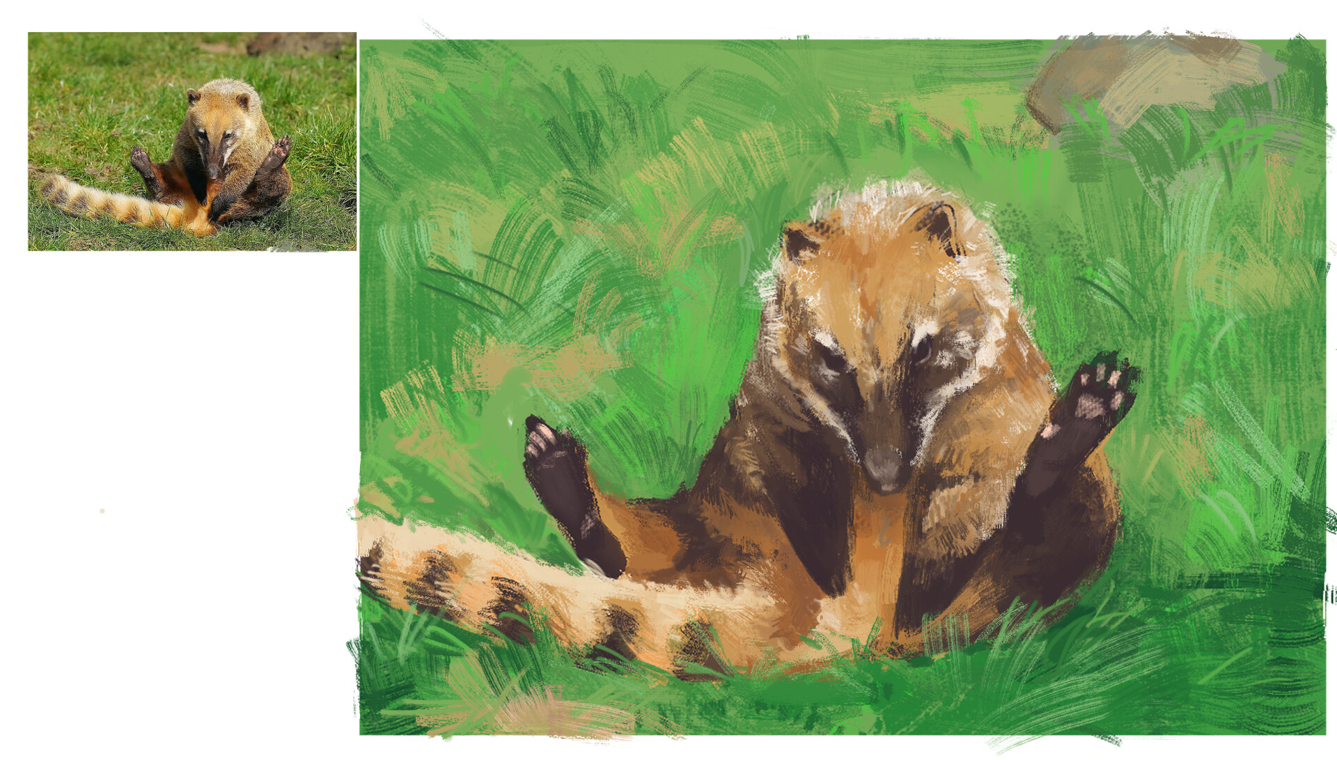 ArtStation - Coati Study