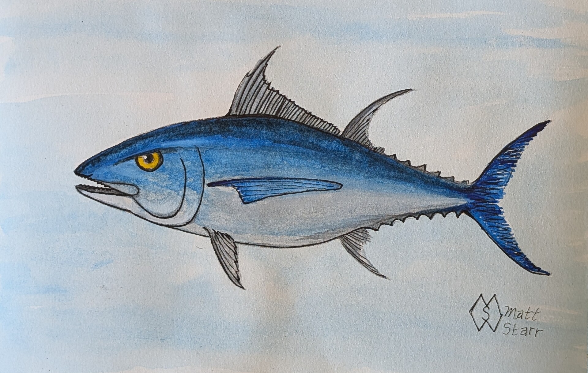 ArtStation - Tuna fish study