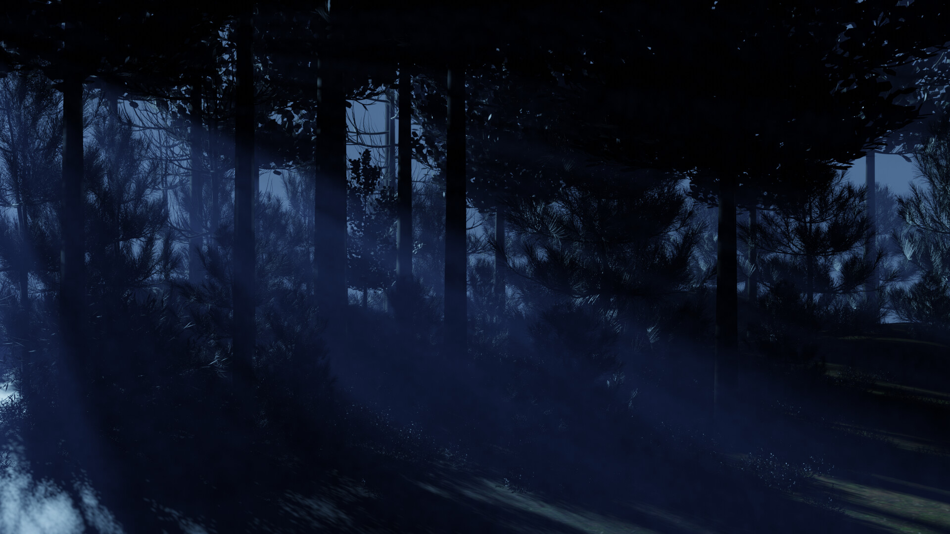 ArtStation - night forest