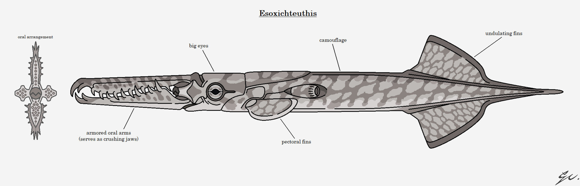 Antoine Grailet - 18-Scorpii-4 Fishes