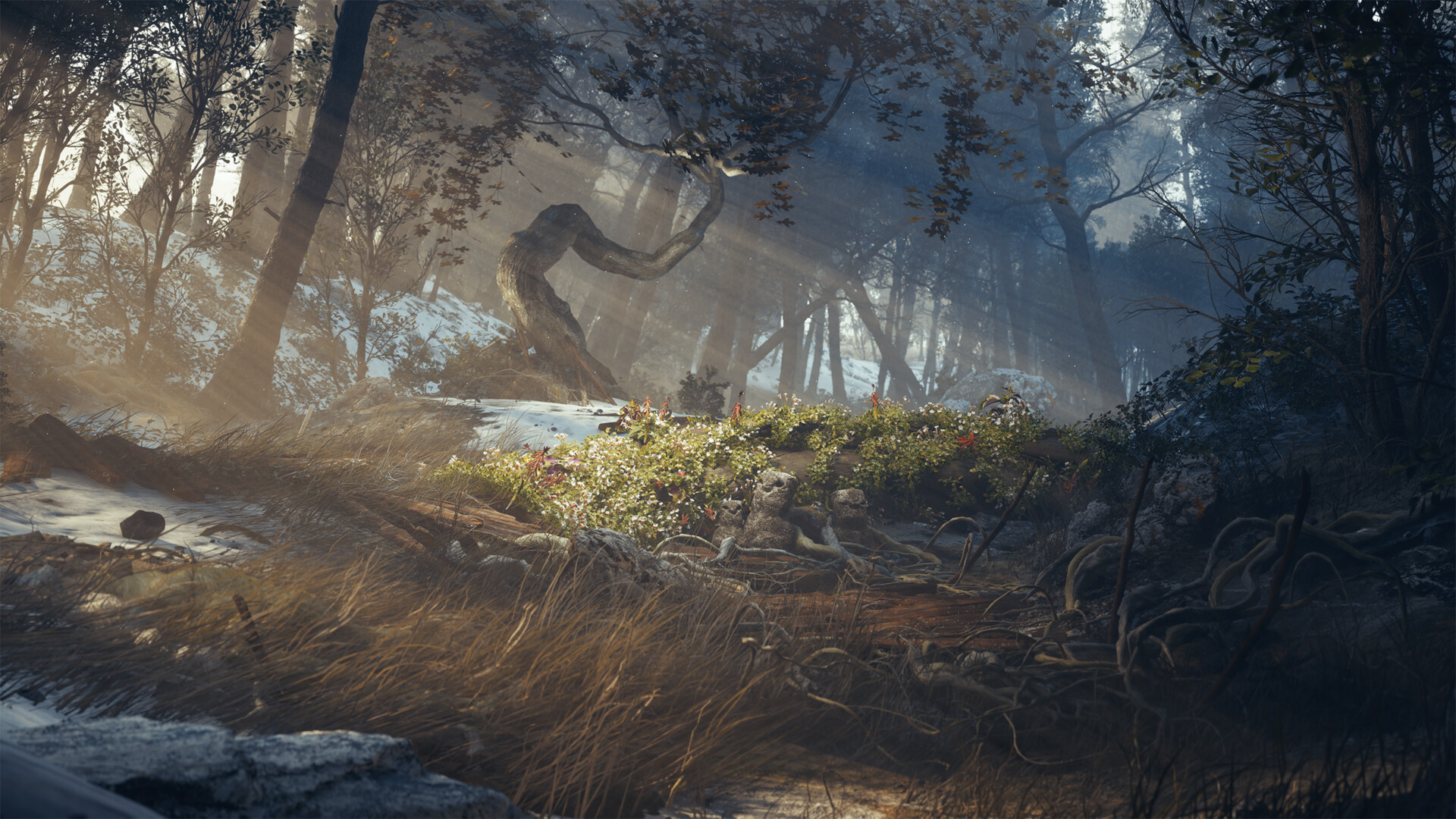 Felipe Barrera - Spirit of the Forest