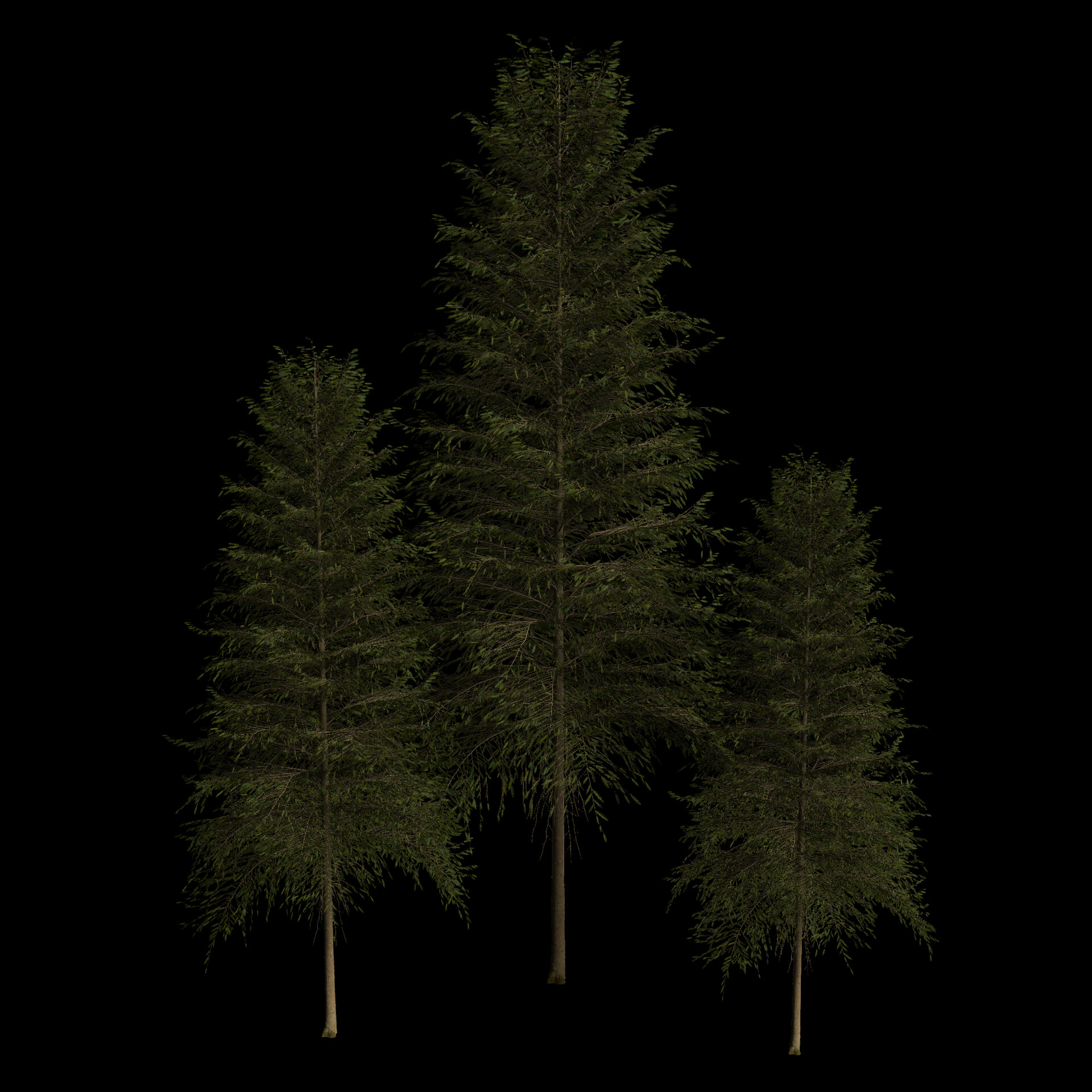 Savar Sethi - Spruce Tree | SpeedTree Modeling