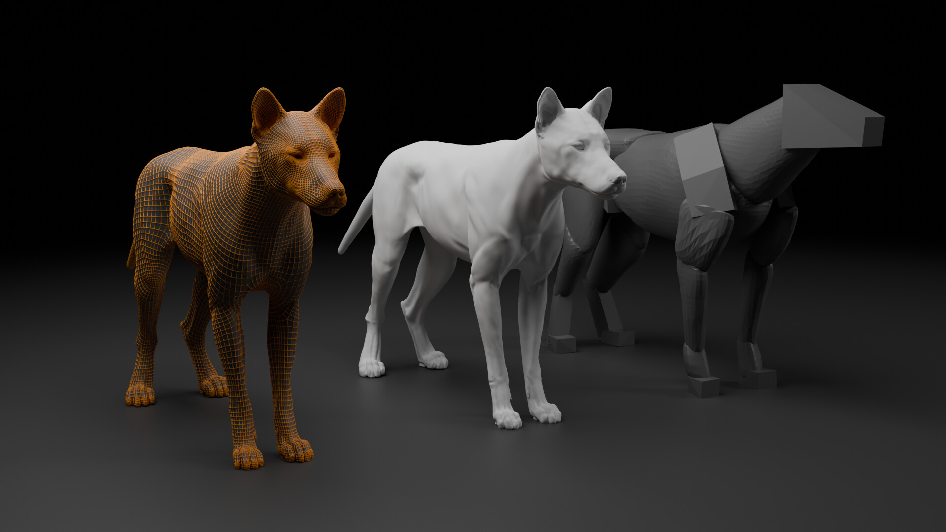 ArtStation - Wolf Modeling (WIP)