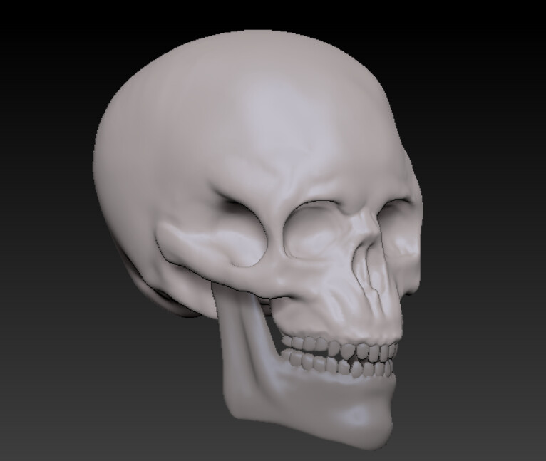 ArtStation - Skull - 3D Design