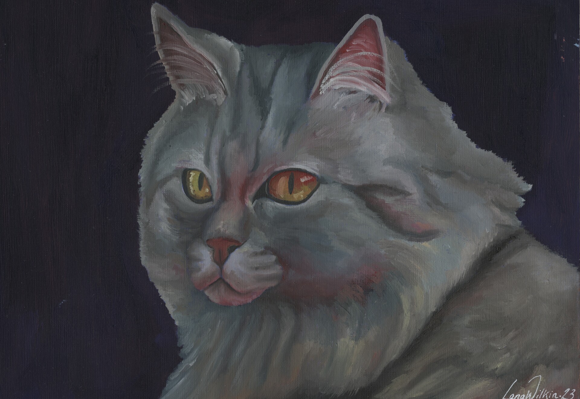 ArtStation - Osiris the cat