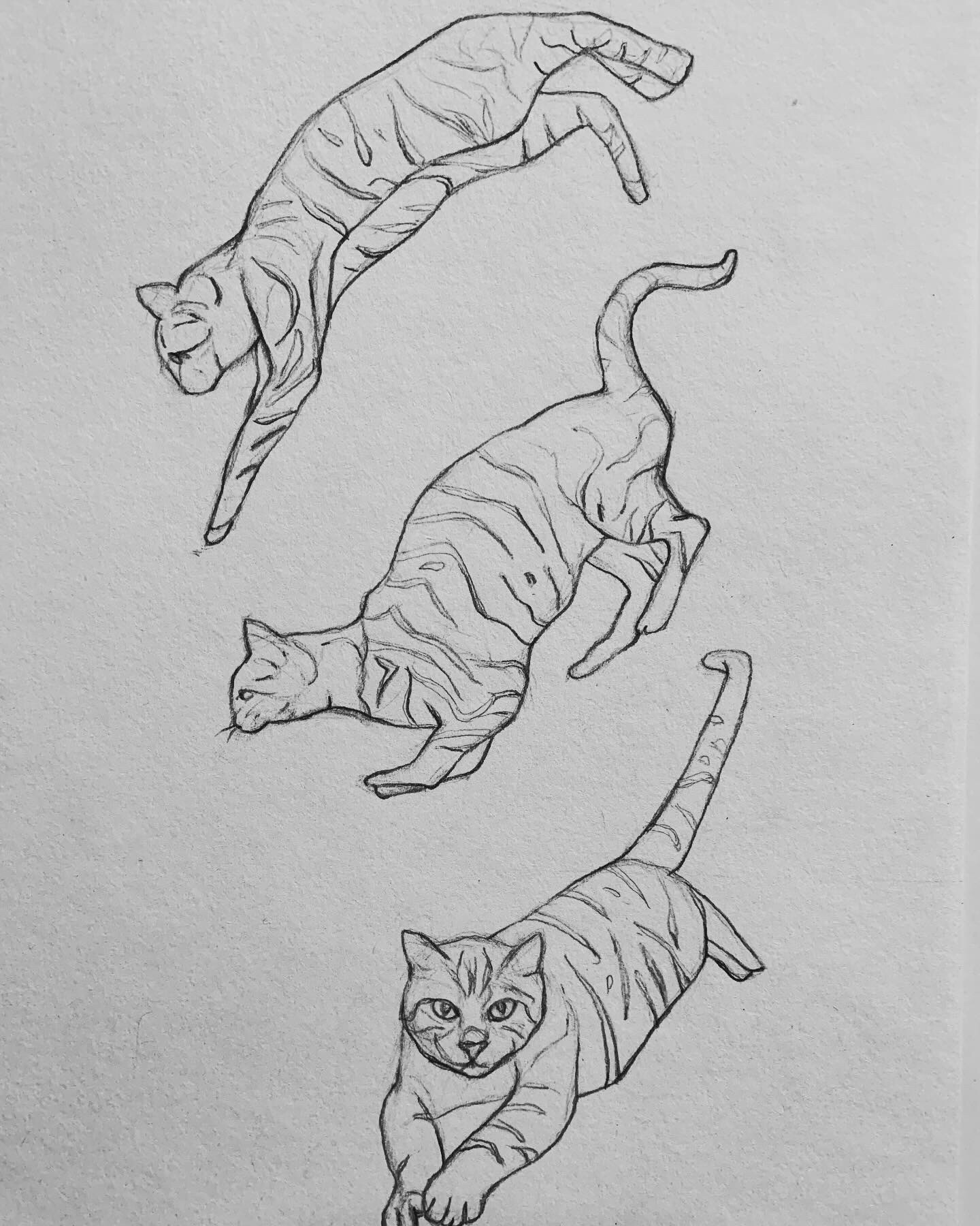 ArtStation - Recent Commission of linear Cat sketches for a wood ...