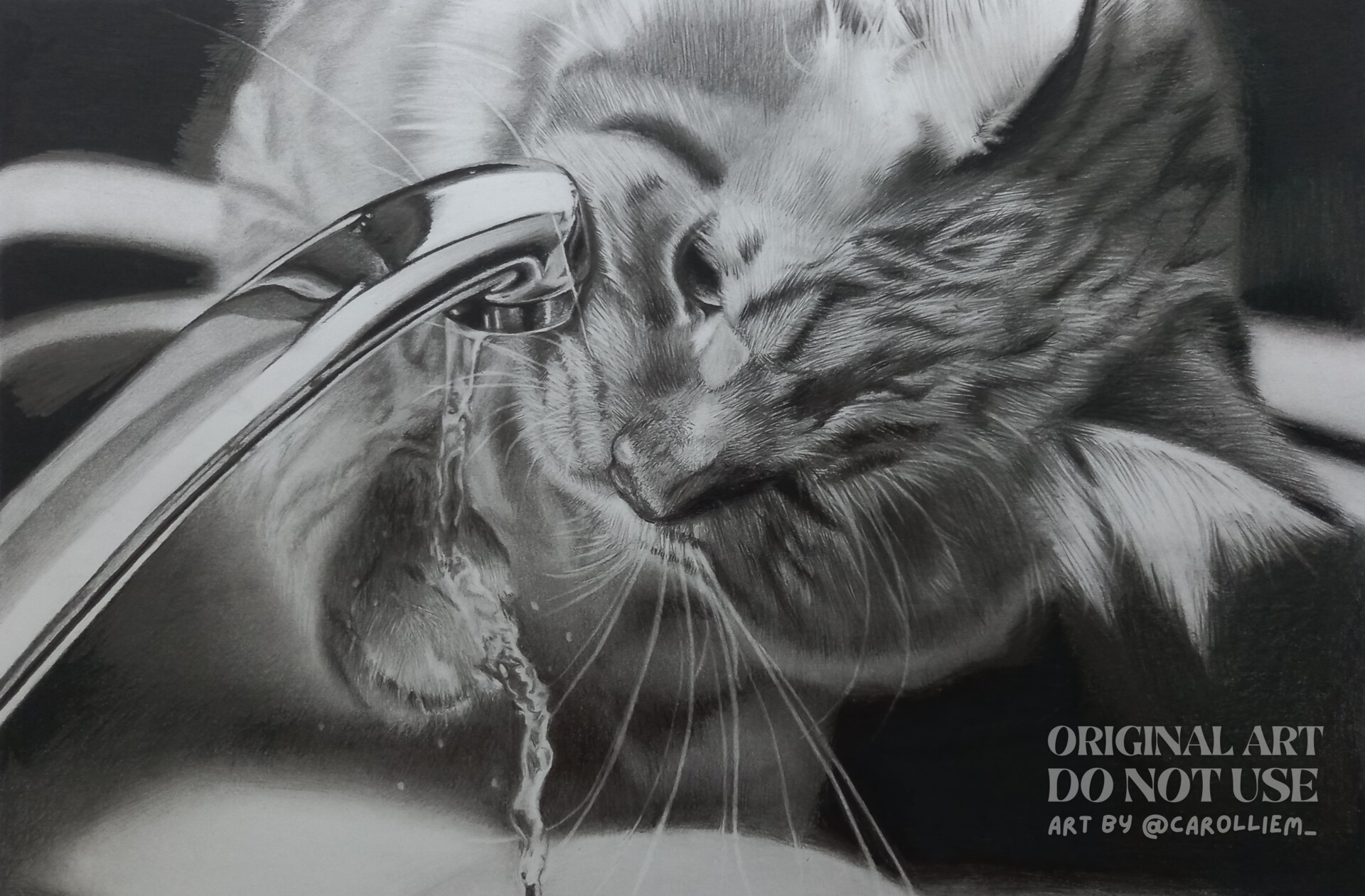 ArtStation - Textured Cat