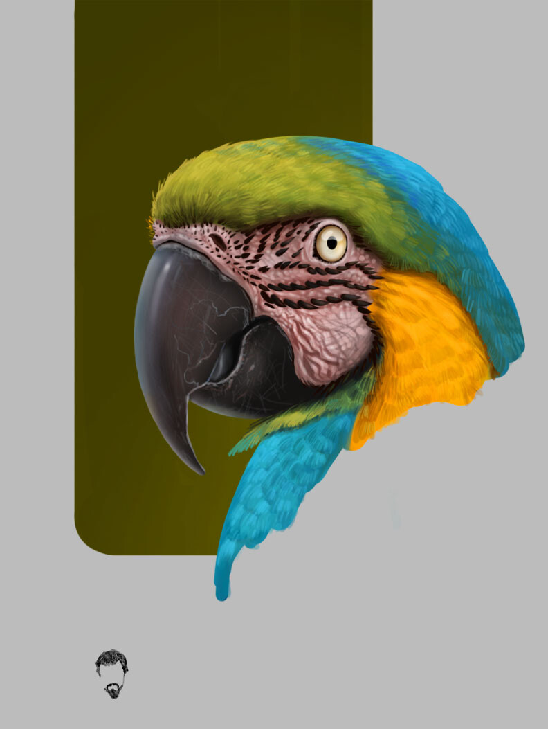 ArtStation - Color Study