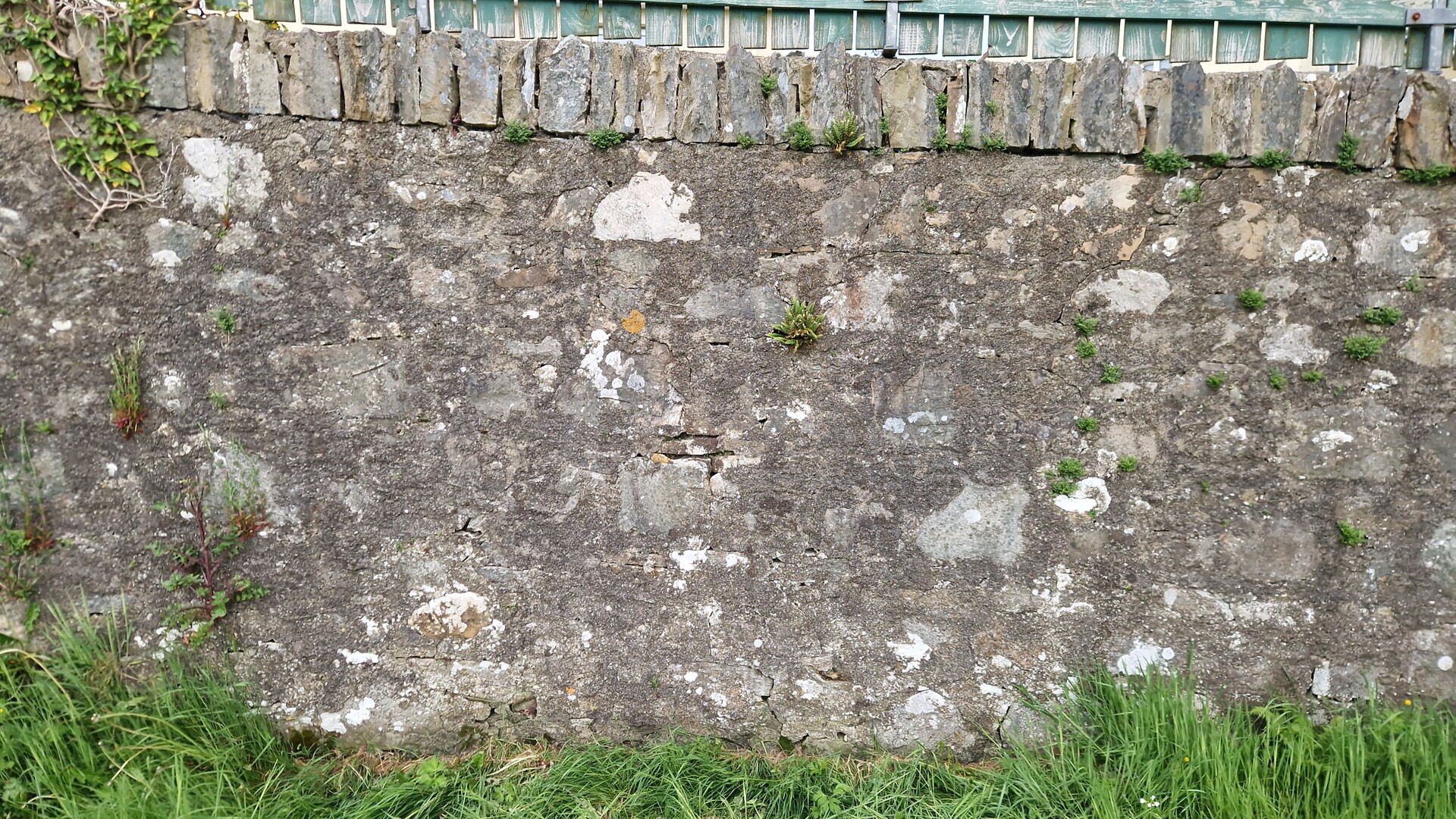 Jurand Macioszczyk Photogrammetry Portfolio - Poliigon Studio ...