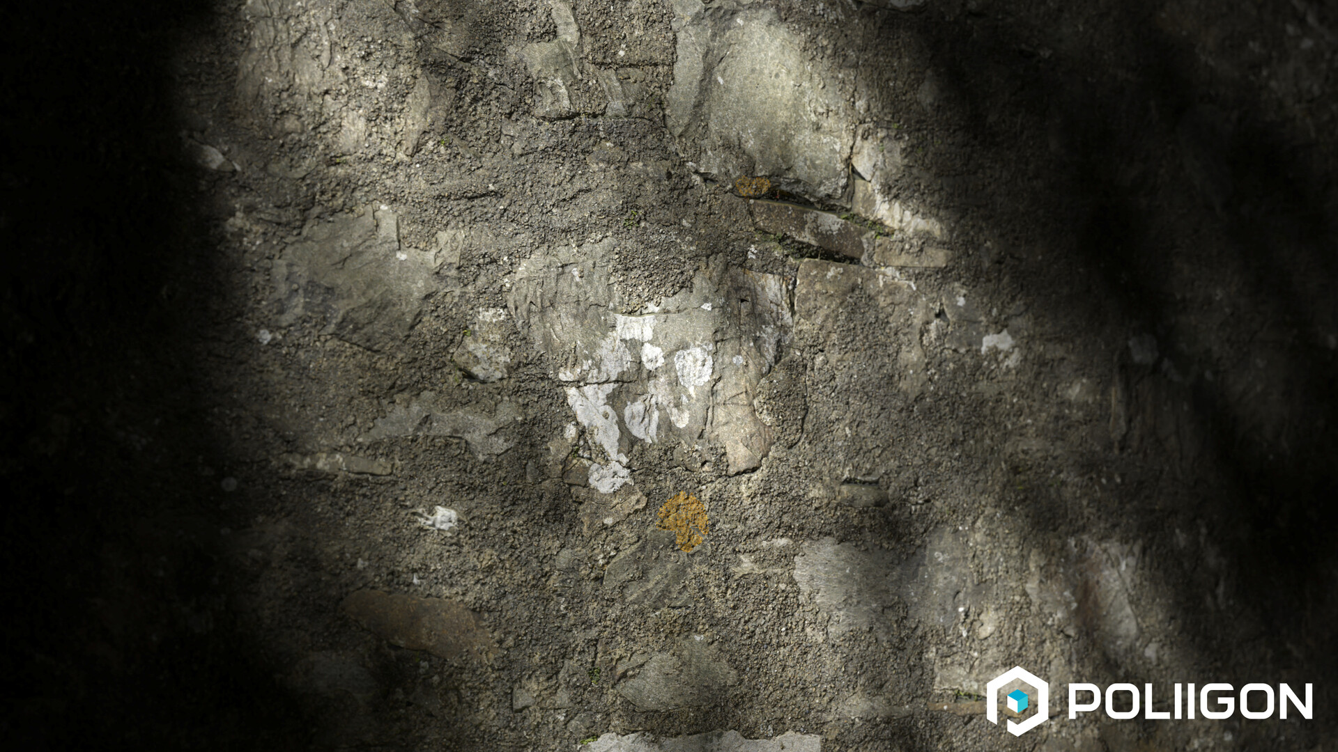 Jurand Macioszczyk Photogrammetry Portfolio - Poliigon Studio ...