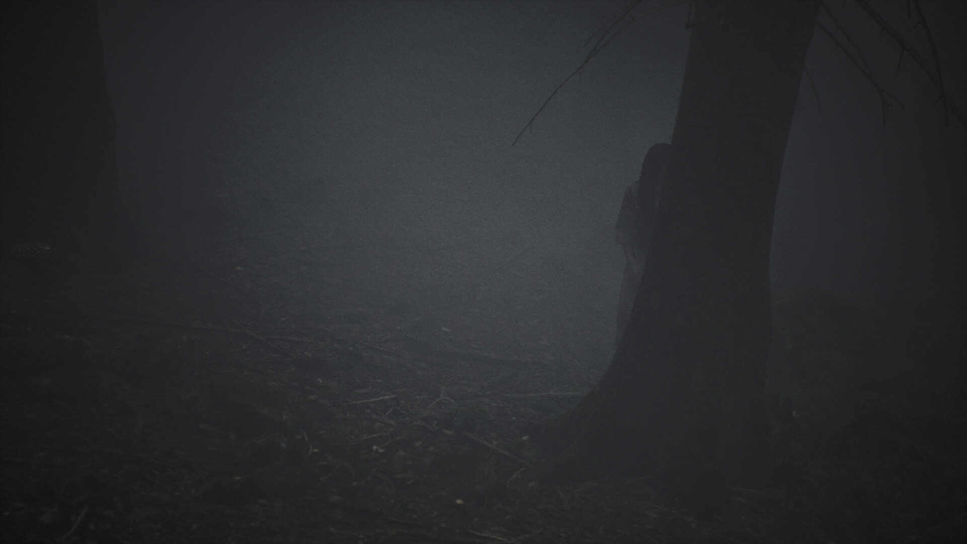 Pasquale Scionti - The Dark Forest Unreal Engine 5.4 Lumen Nanite