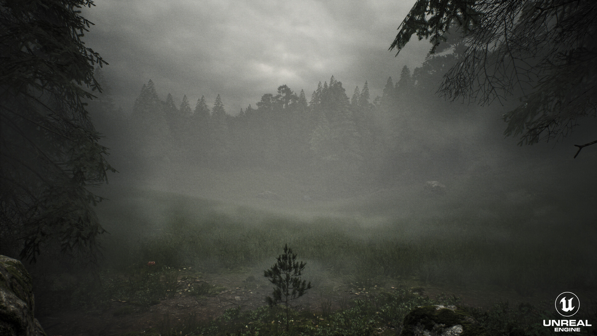 Pasquale Scionti - The Dark Forest Unreal Engine 5.4 Lumen Nanite