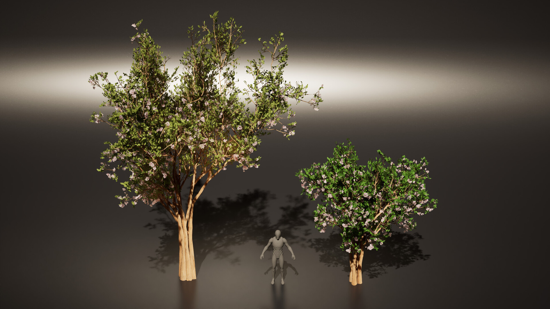 Alexander Agredo - La Piazzetta - Breakdown