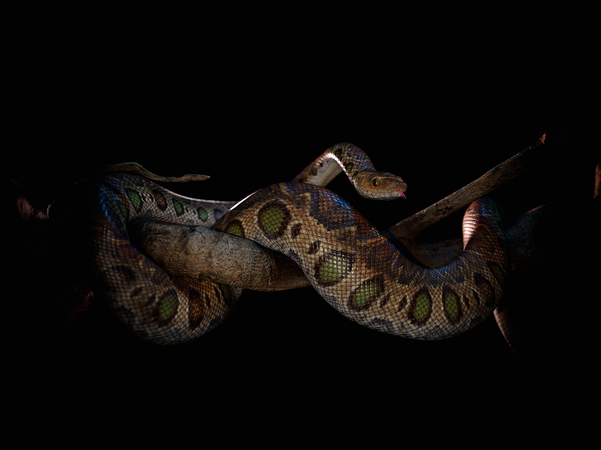 ArtStation - Anaconda