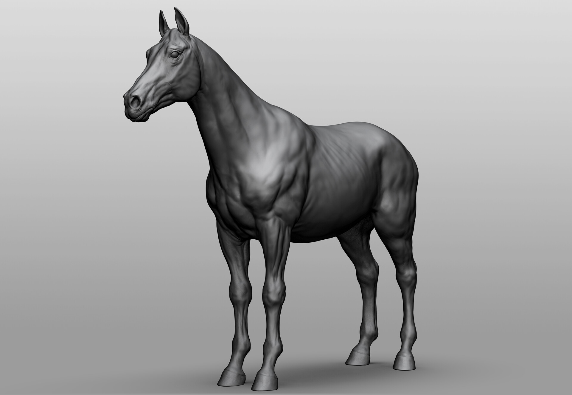 ArtStation - horse