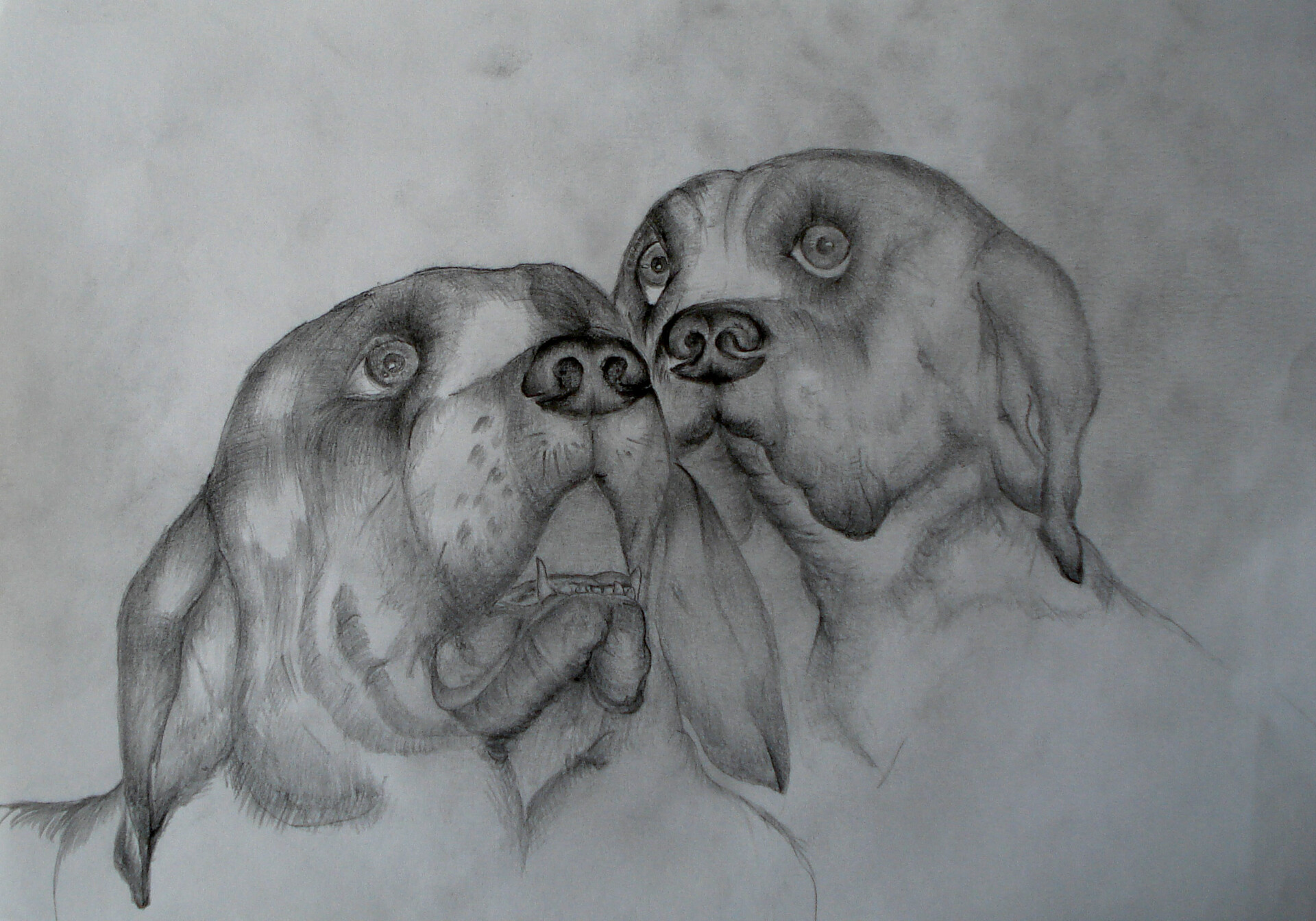 ArtStation - Scatches