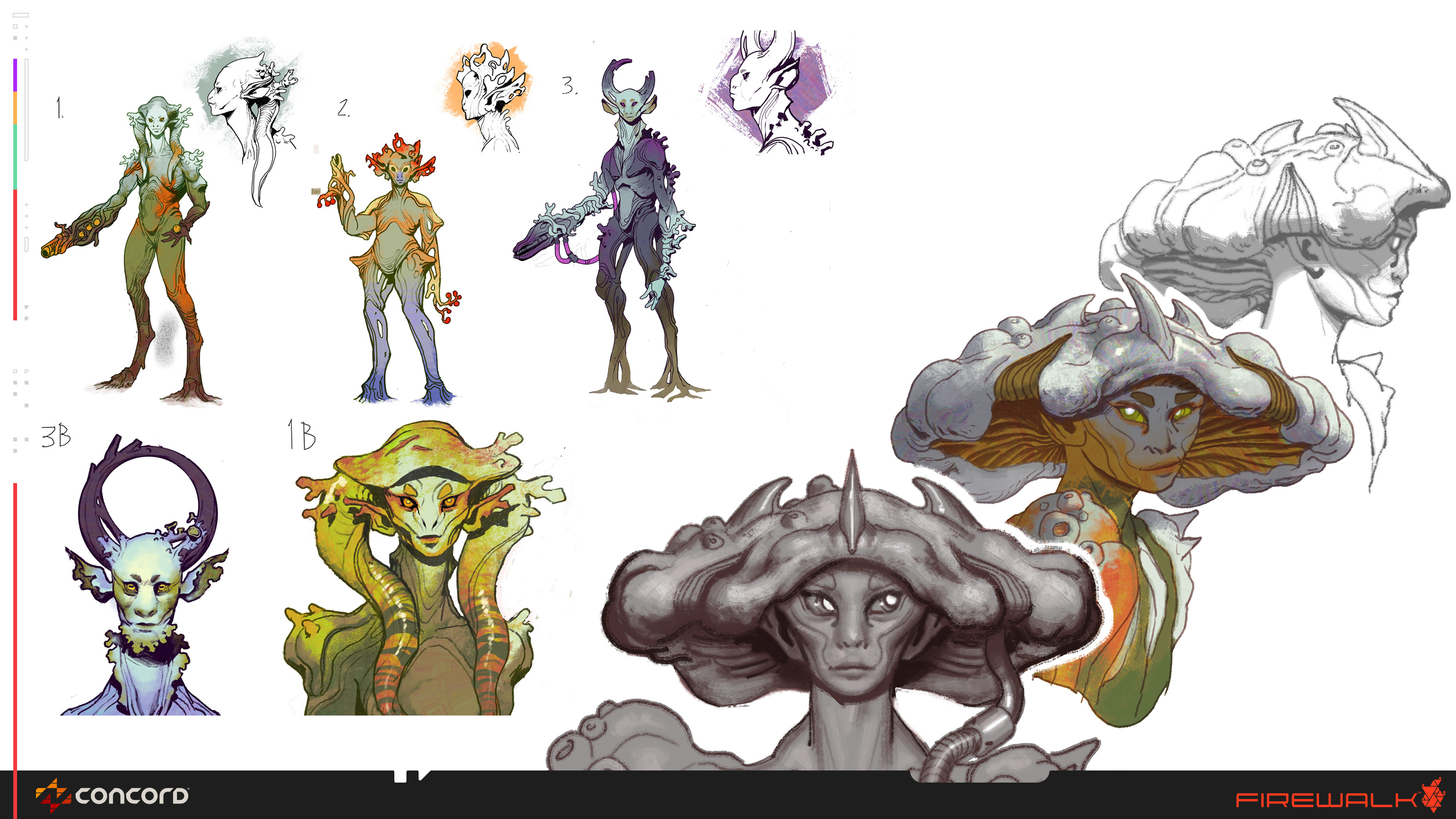 Amanda Kiefer - Concord Lark Character Design