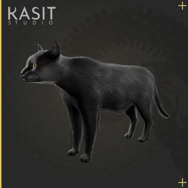 ArtStation - Black Cat