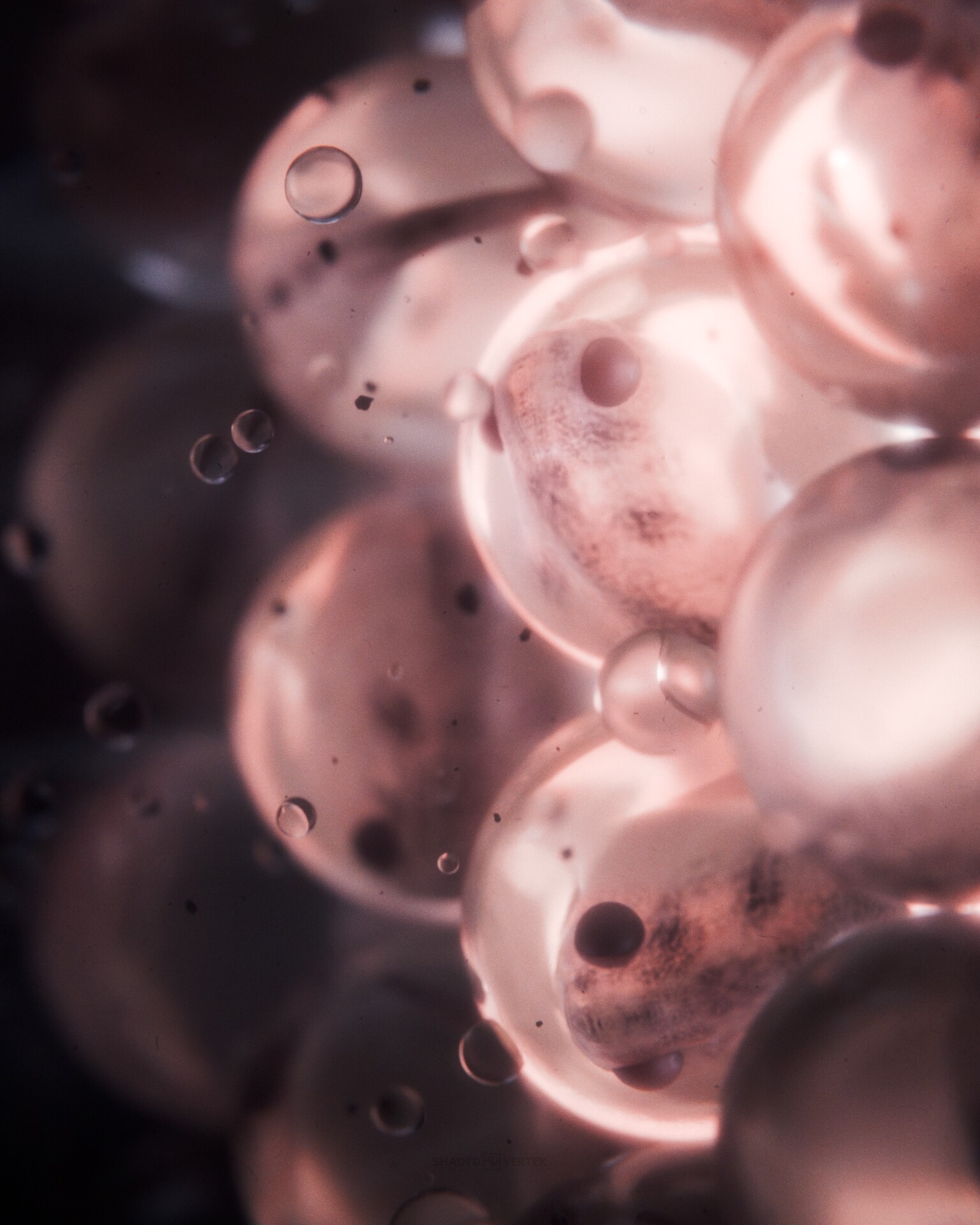 ArtStation - Next Wave