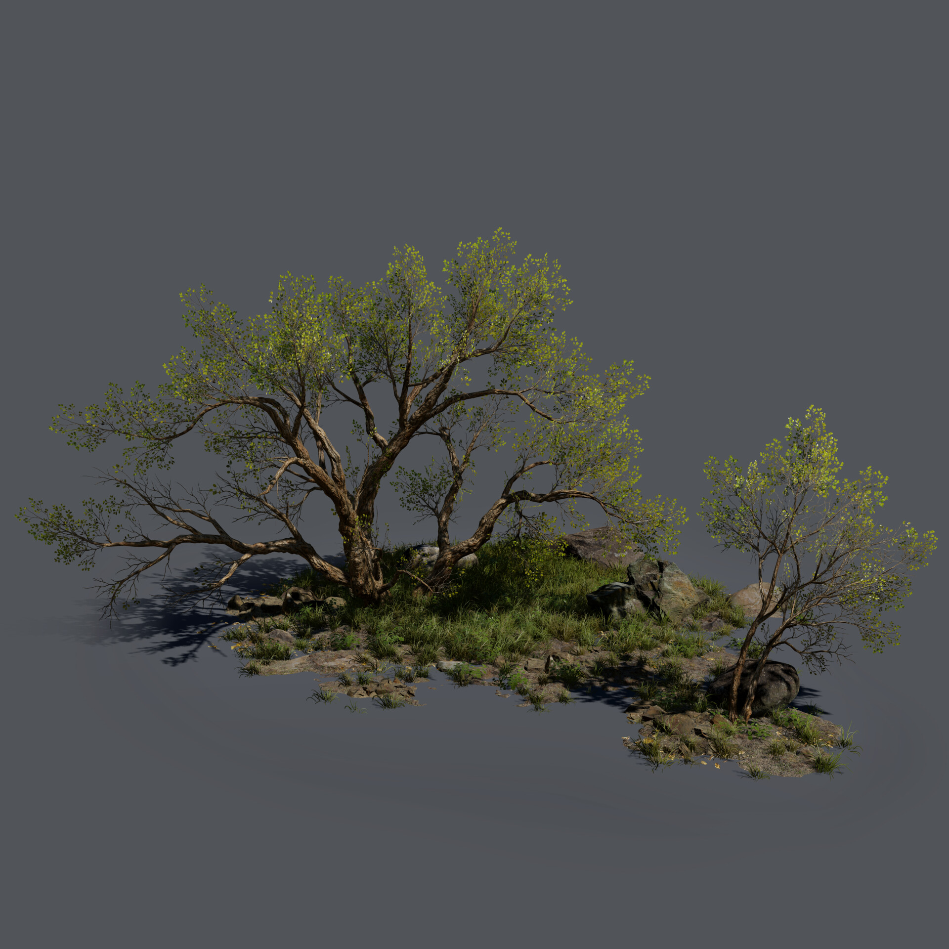 ArtStation - Game - Natural Environment - Tree (SpeedTree)