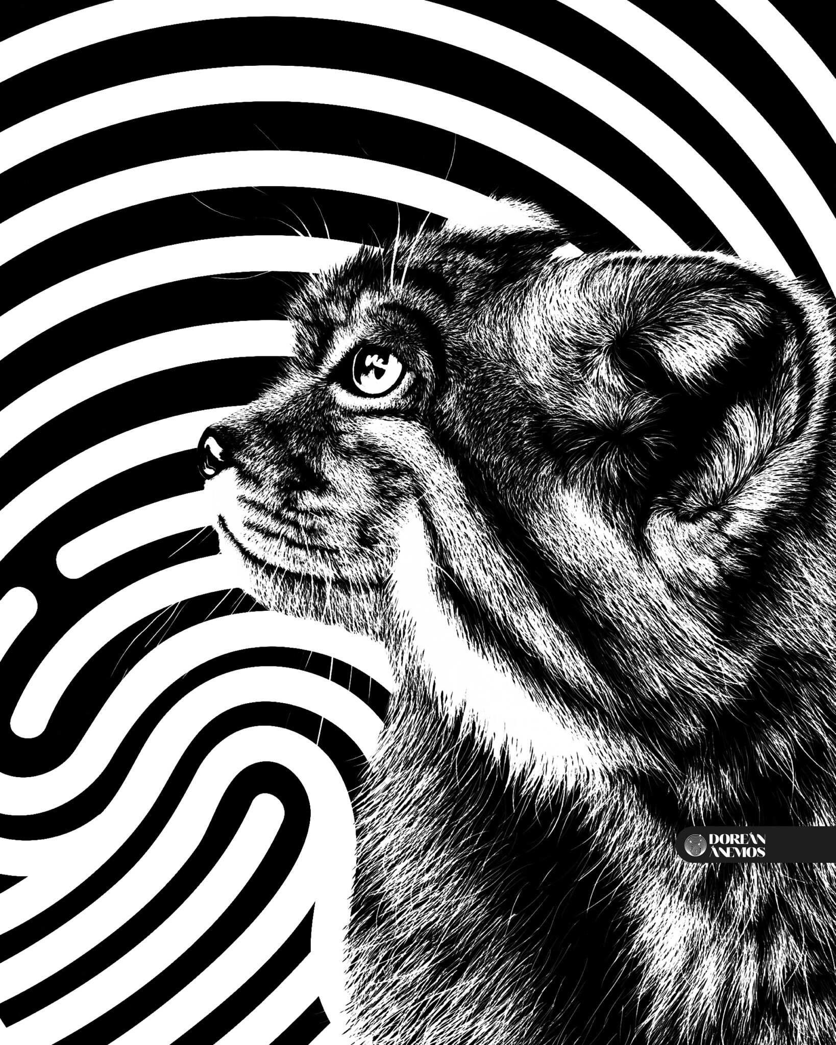 ArtStation - Identity Animal