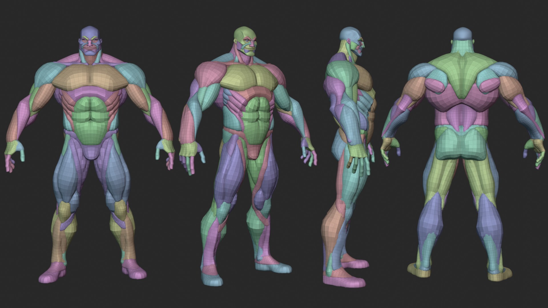 George Zaky - Muscular Guy Anatomy Blockout