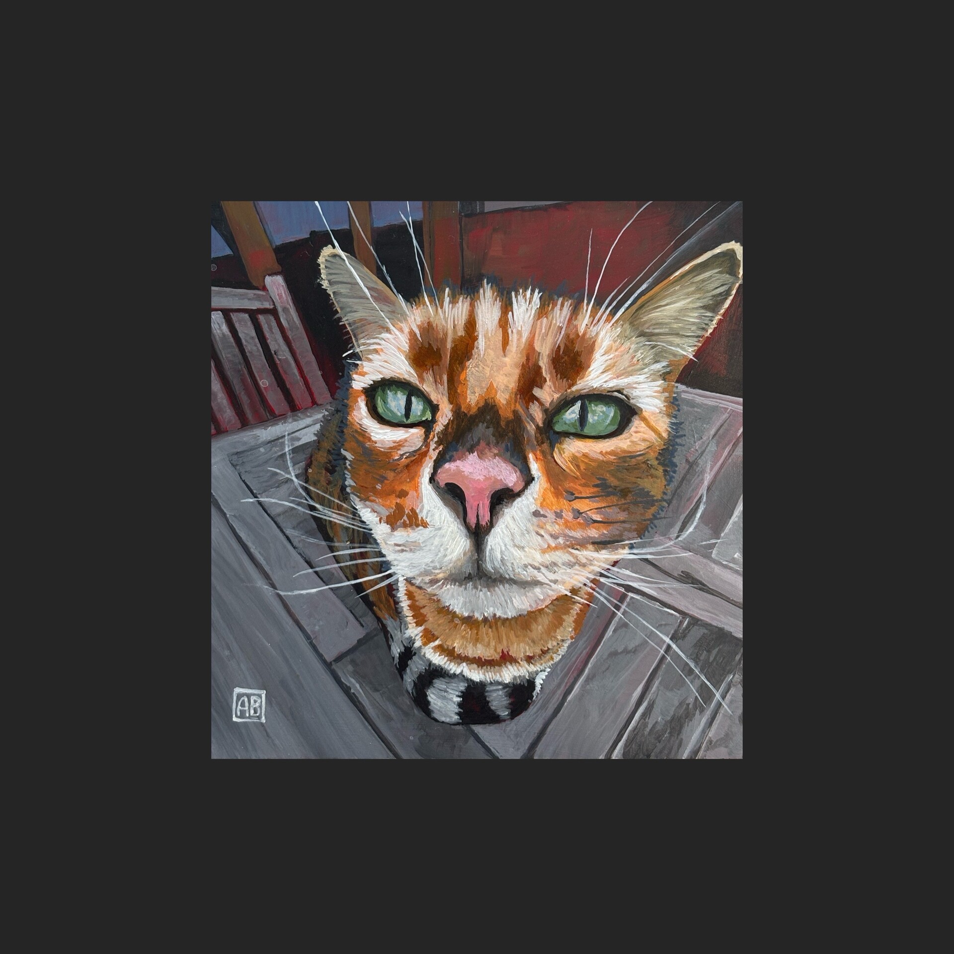 ArtStation - Cats in wide angles, Rasta