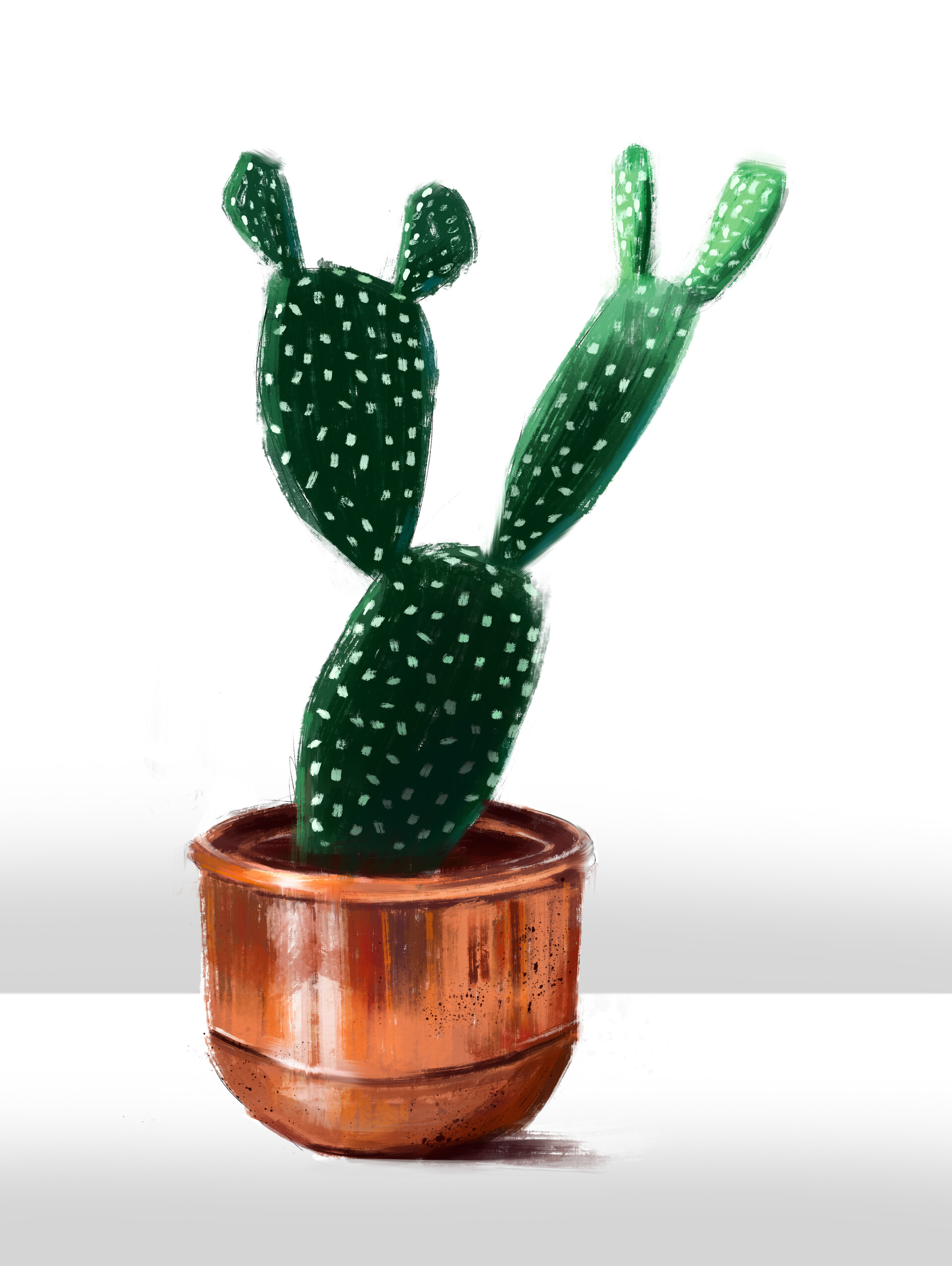 ArtStation - Cactus Study