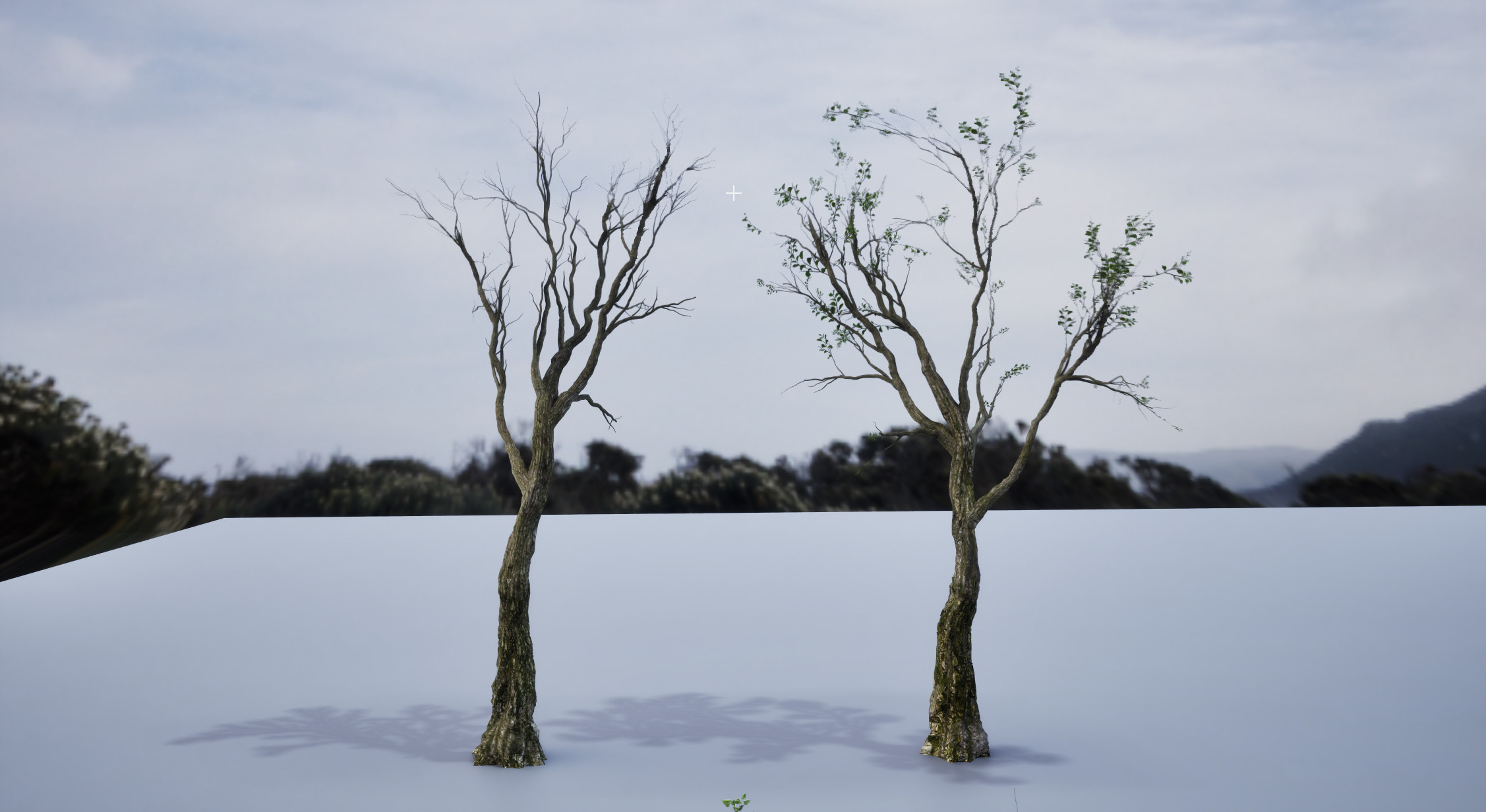Jonathon Gregory Bick - Forgotten Prospectors Shack