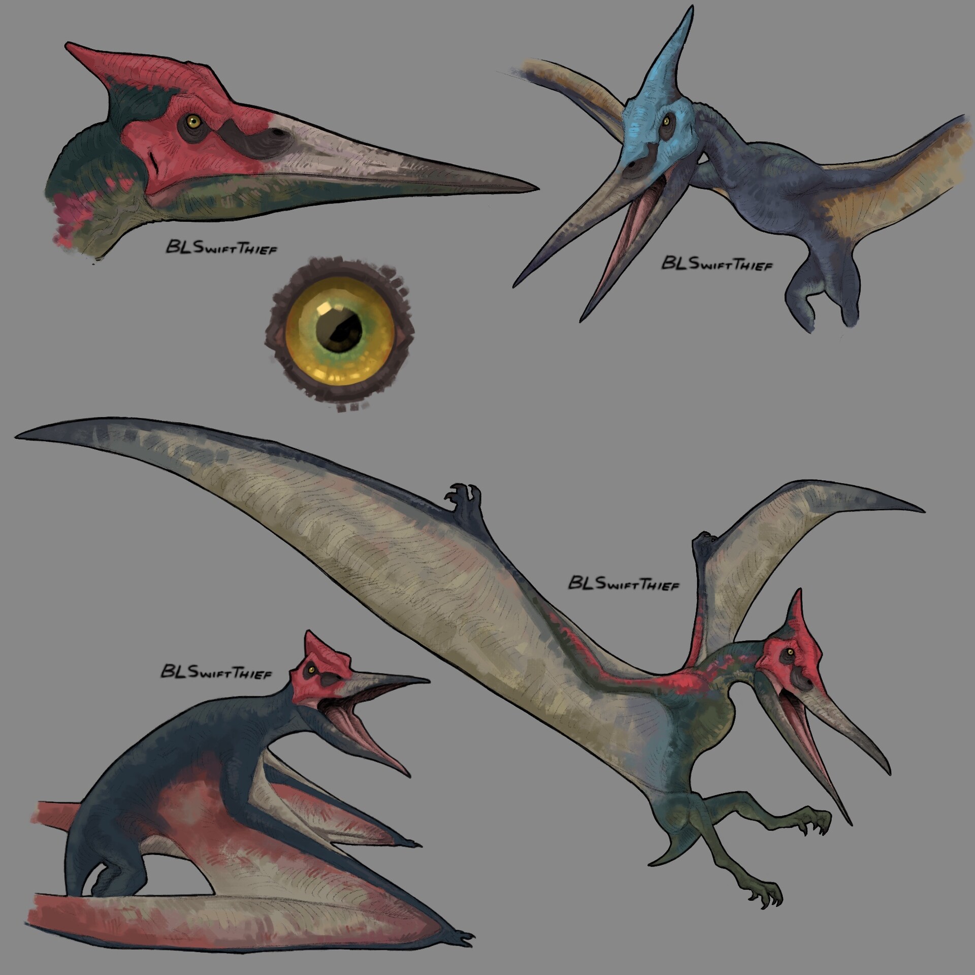 ArtStation - Pteranodon anatomy (JW)