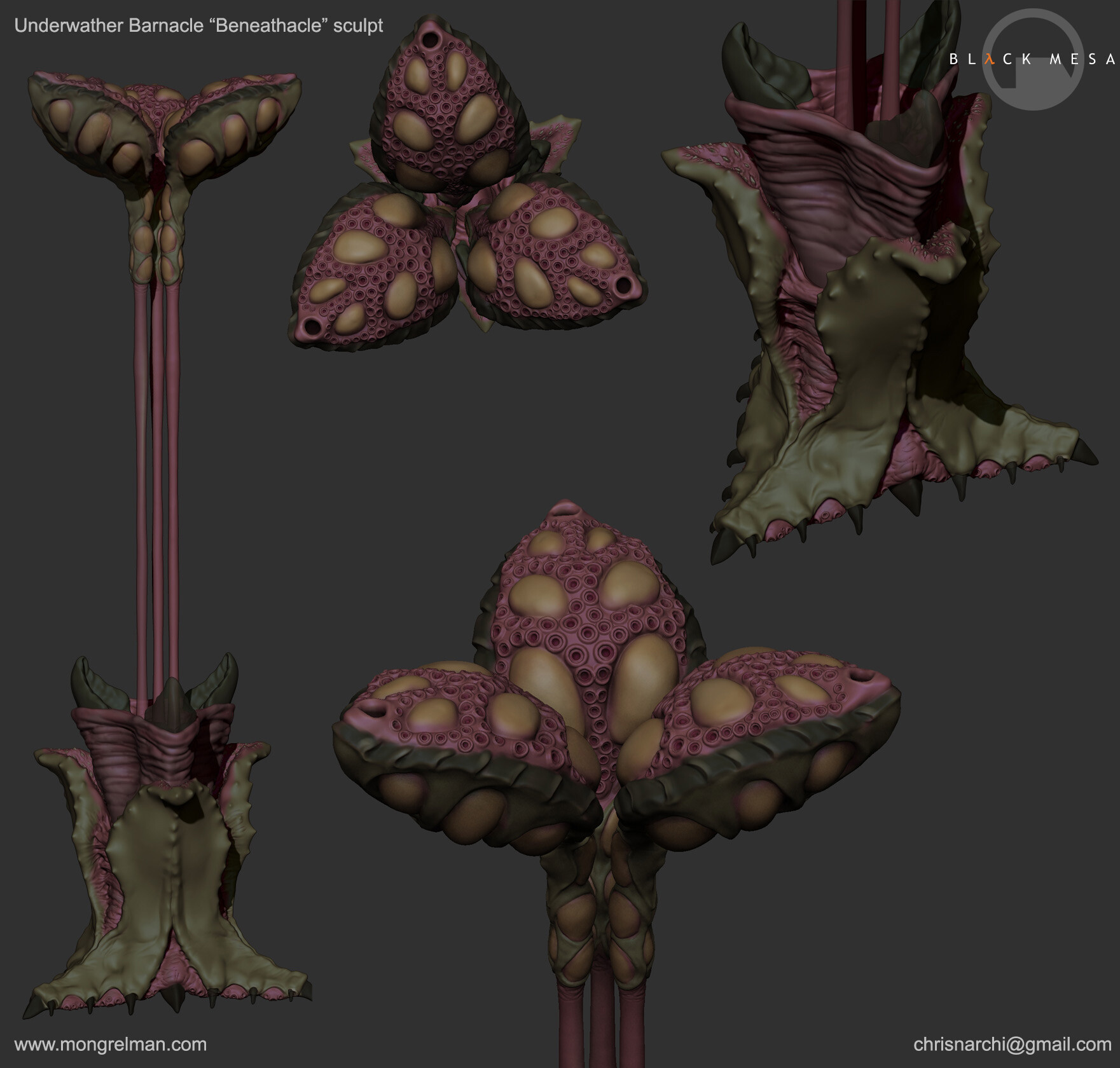 ArtStation - Black Mesa - Underwater barnacle aka "Beneathacle"