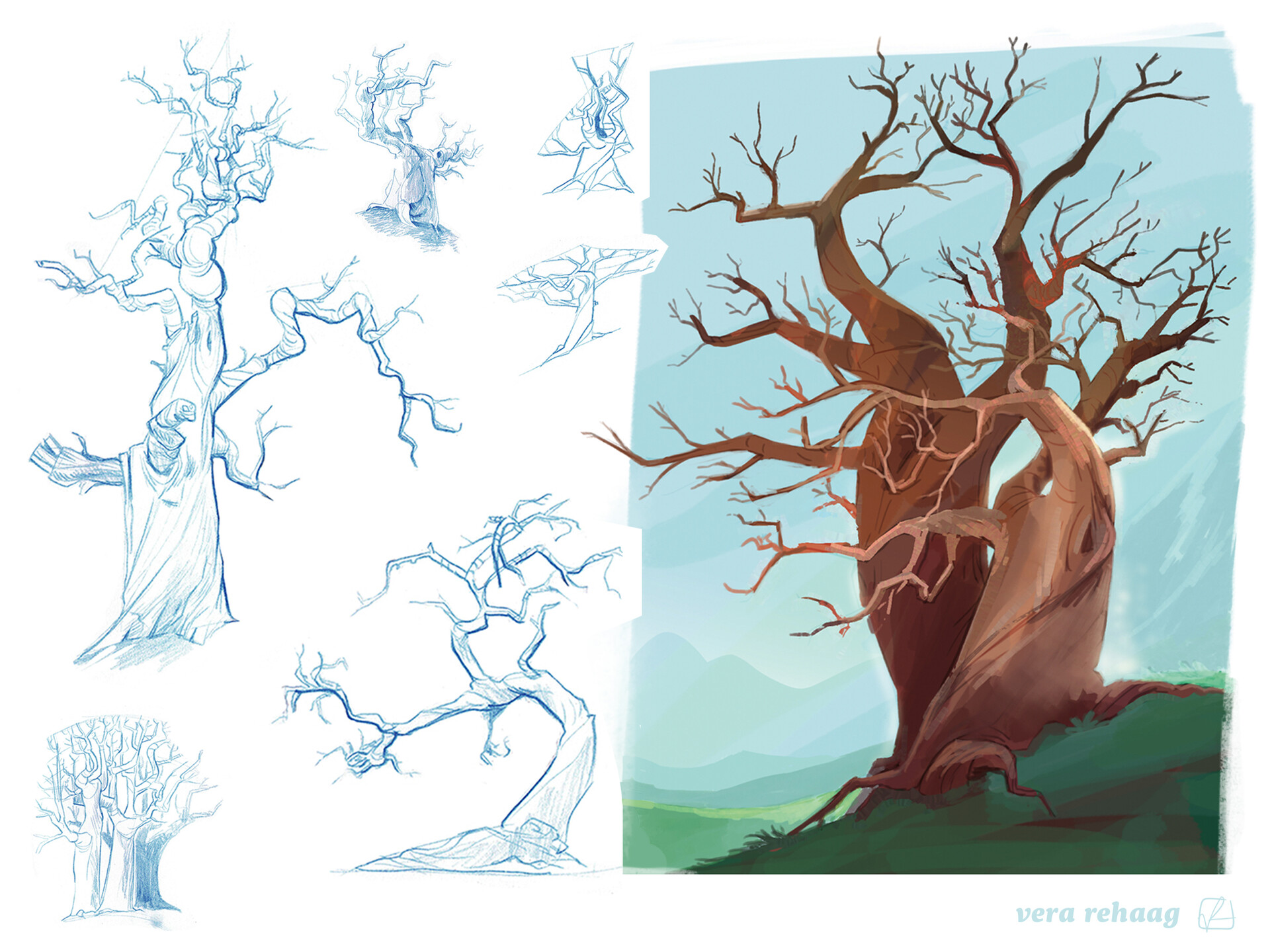 Vera Rehaag - Portfolio