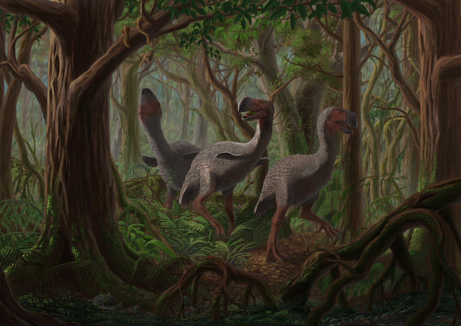 ArtStation - Gastornis