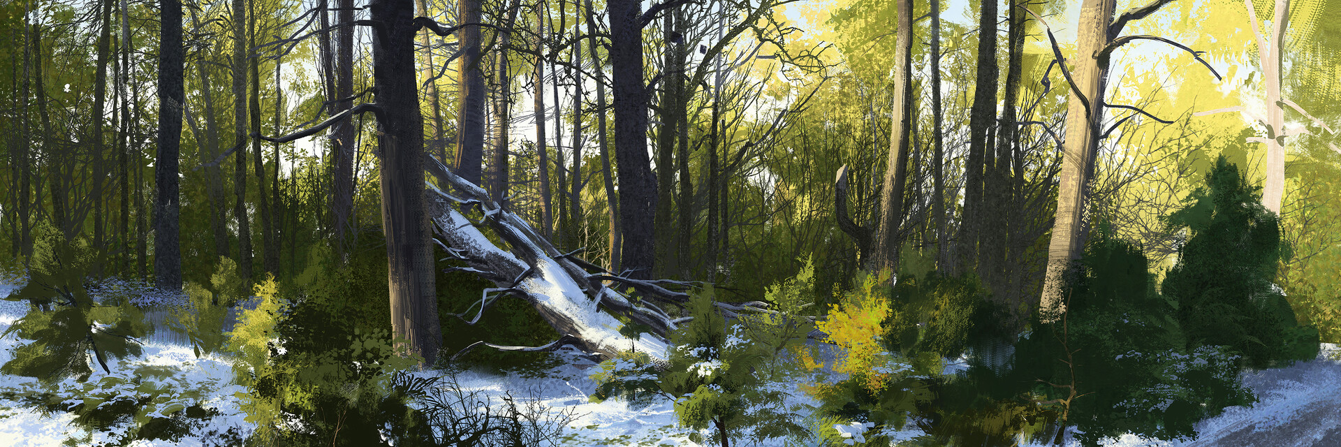 ArtStation - Forest Practice