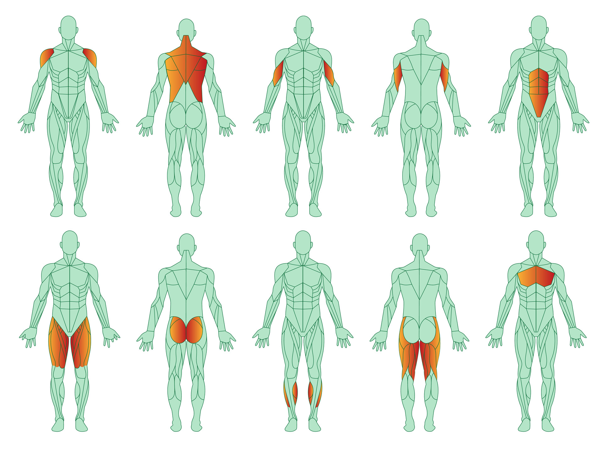 ArtStation - Figure of a man with highlighted muscles