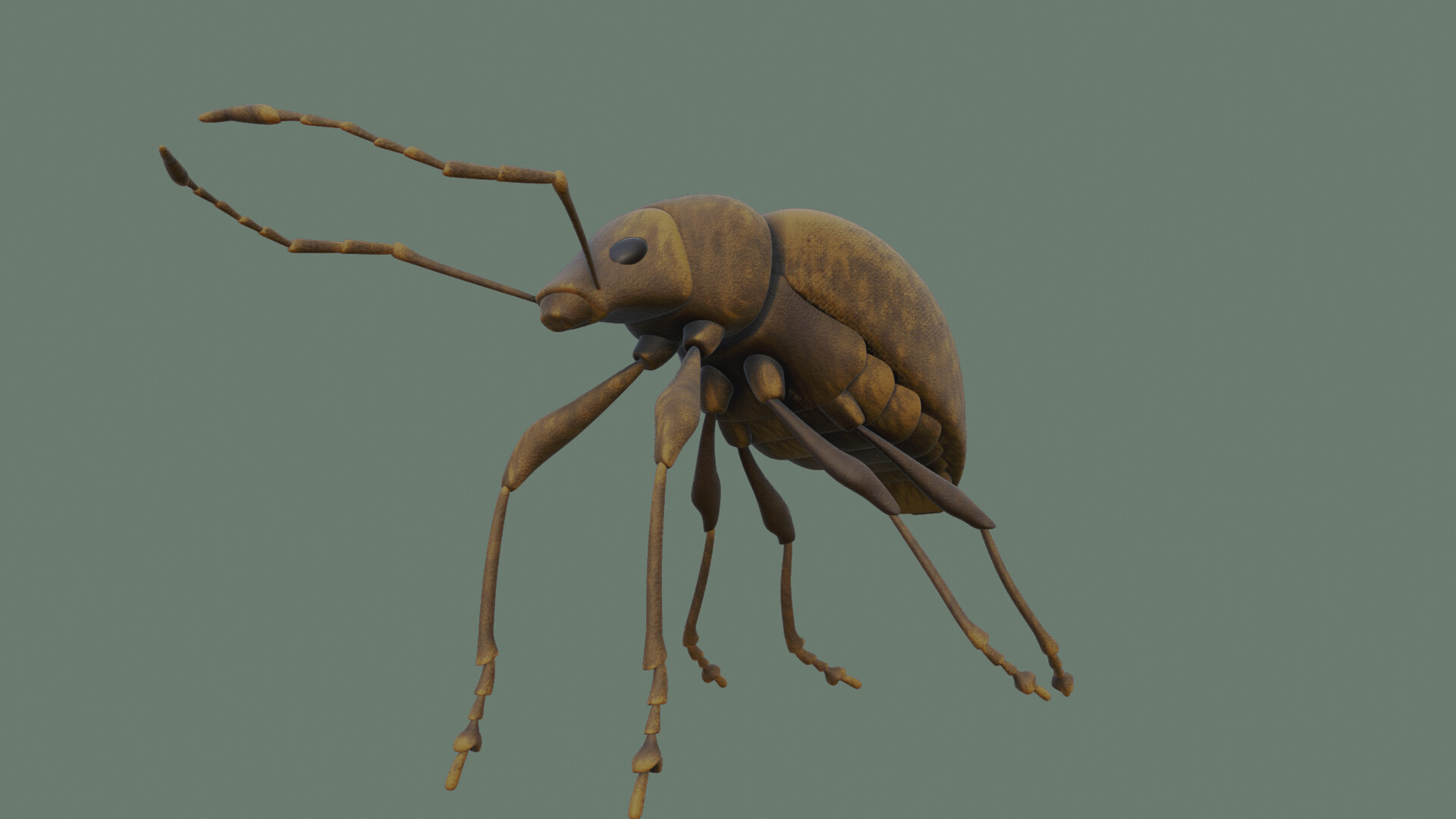 ArtStation - Weevil - Practice project