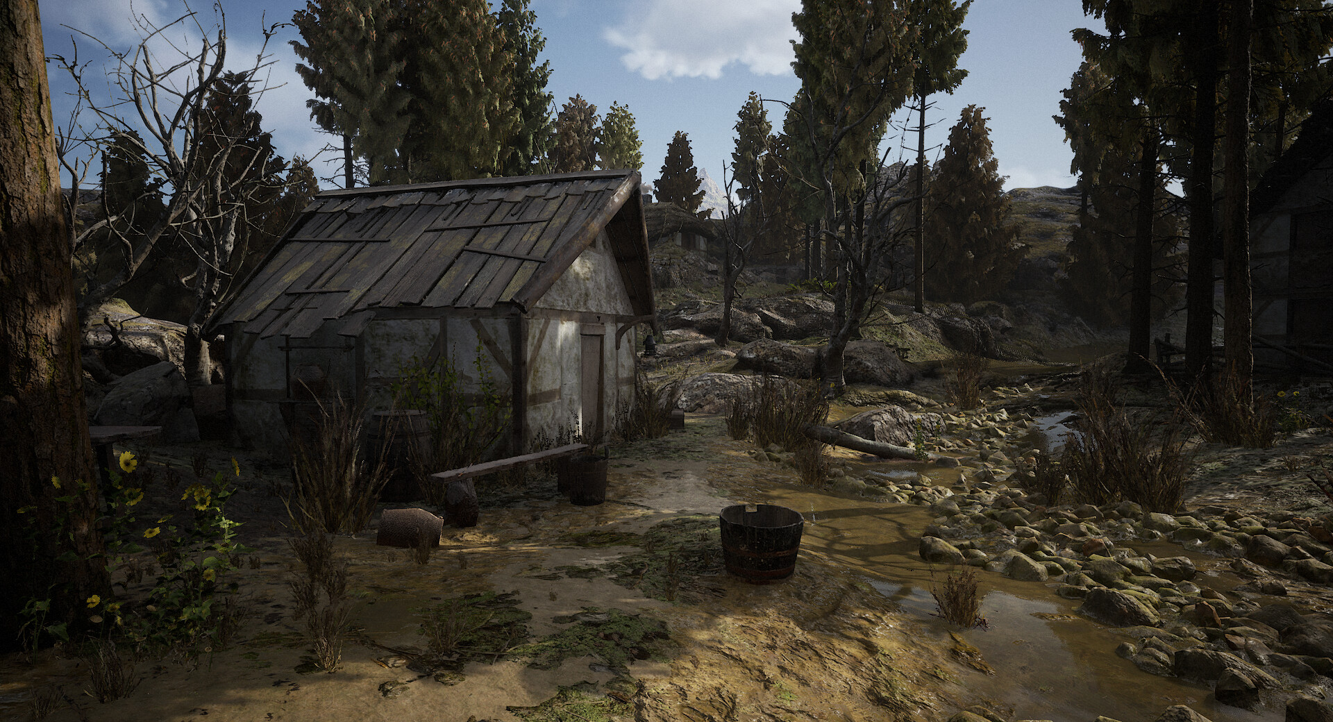 Katherine Stull - Medieval Environment Challenge