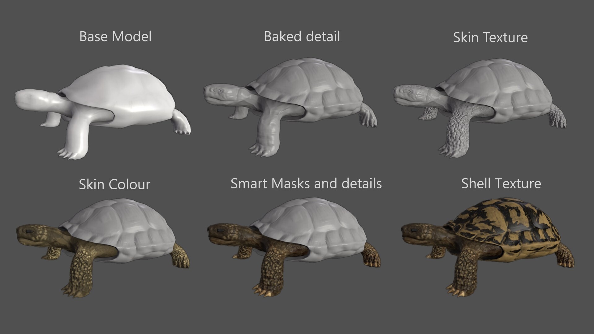 Thomas Jennings - Tortoise