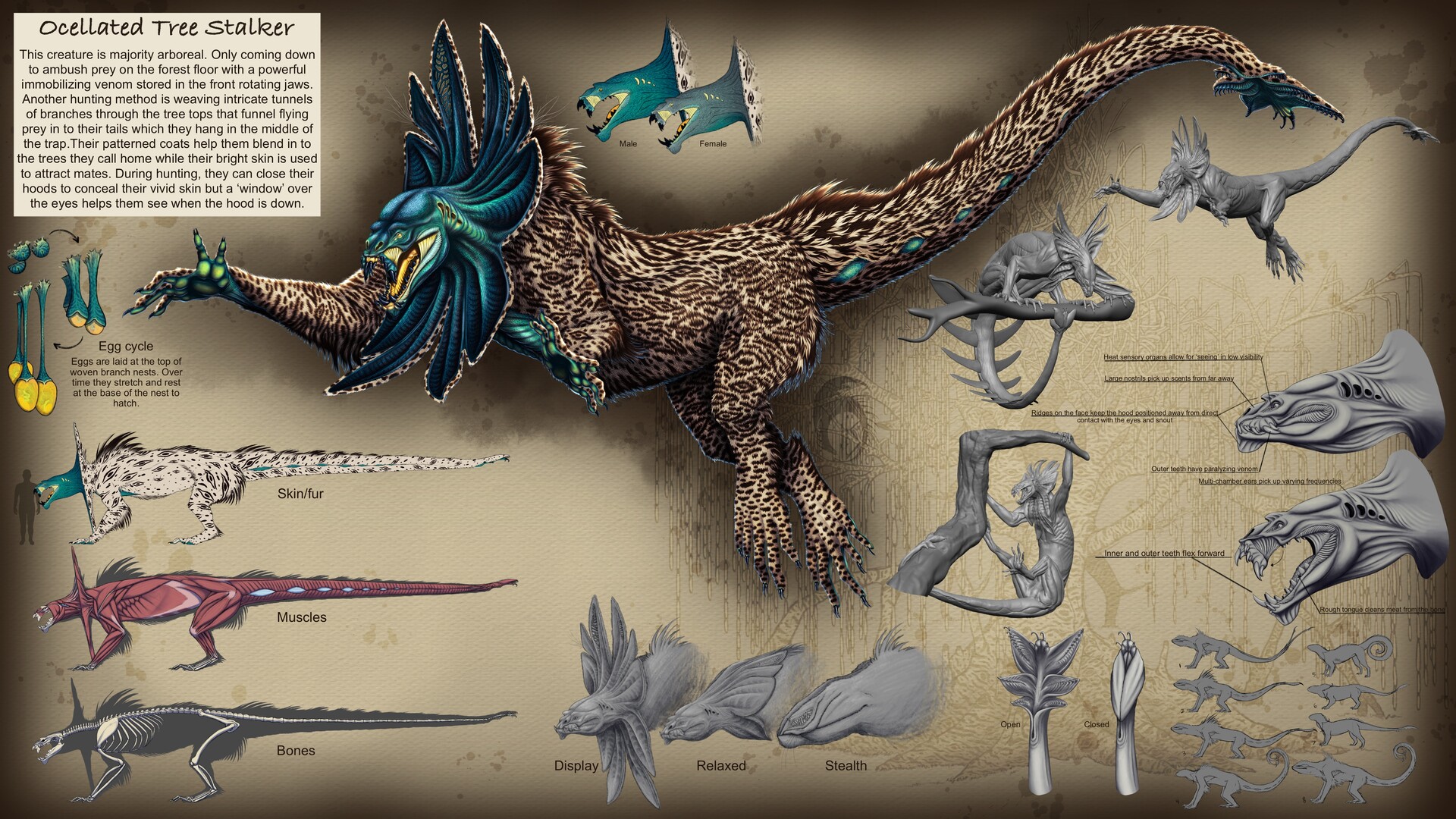 ArtStation - Ocellated Tree Stalker