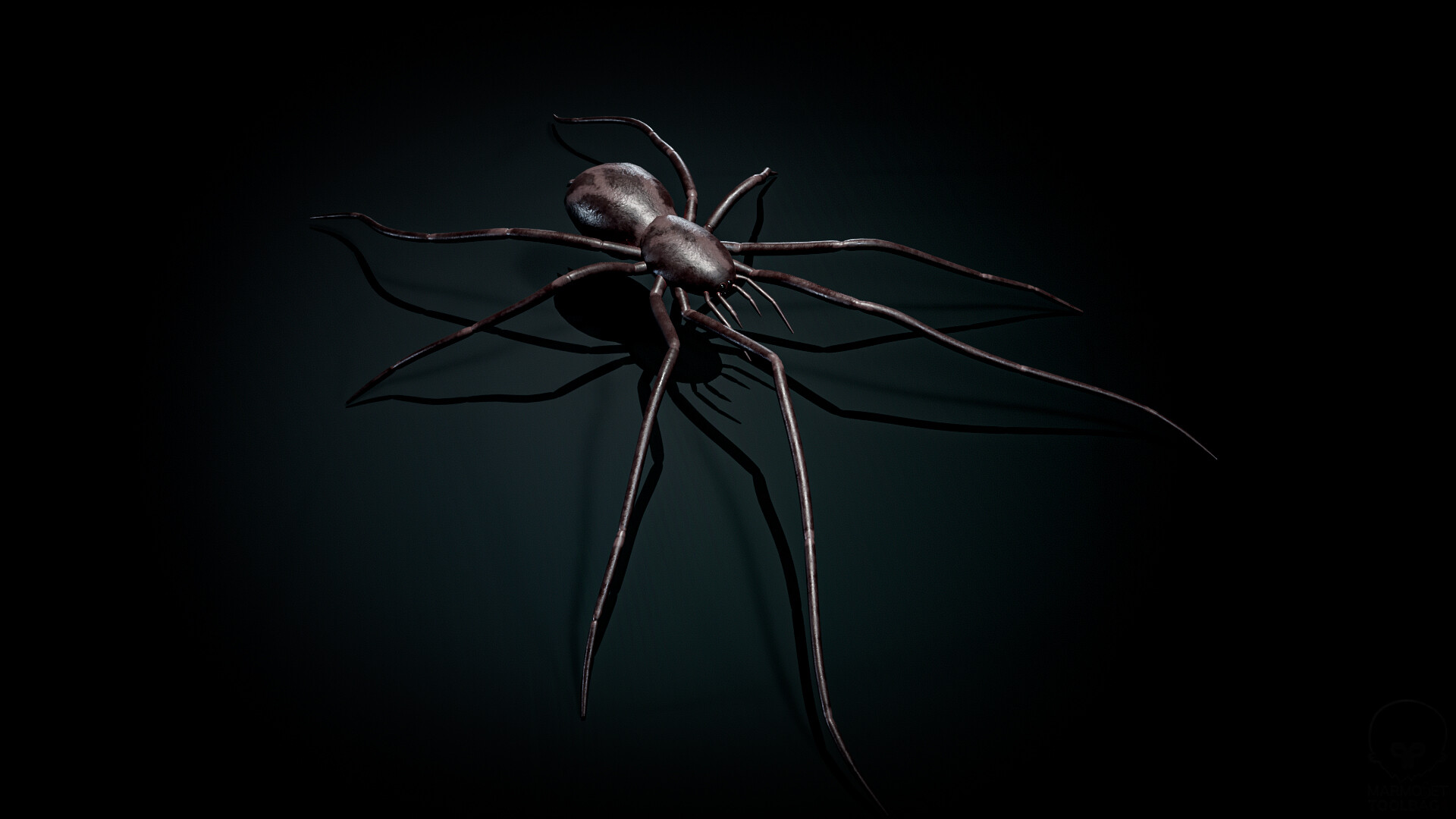 ArtStation - Spider 3d model