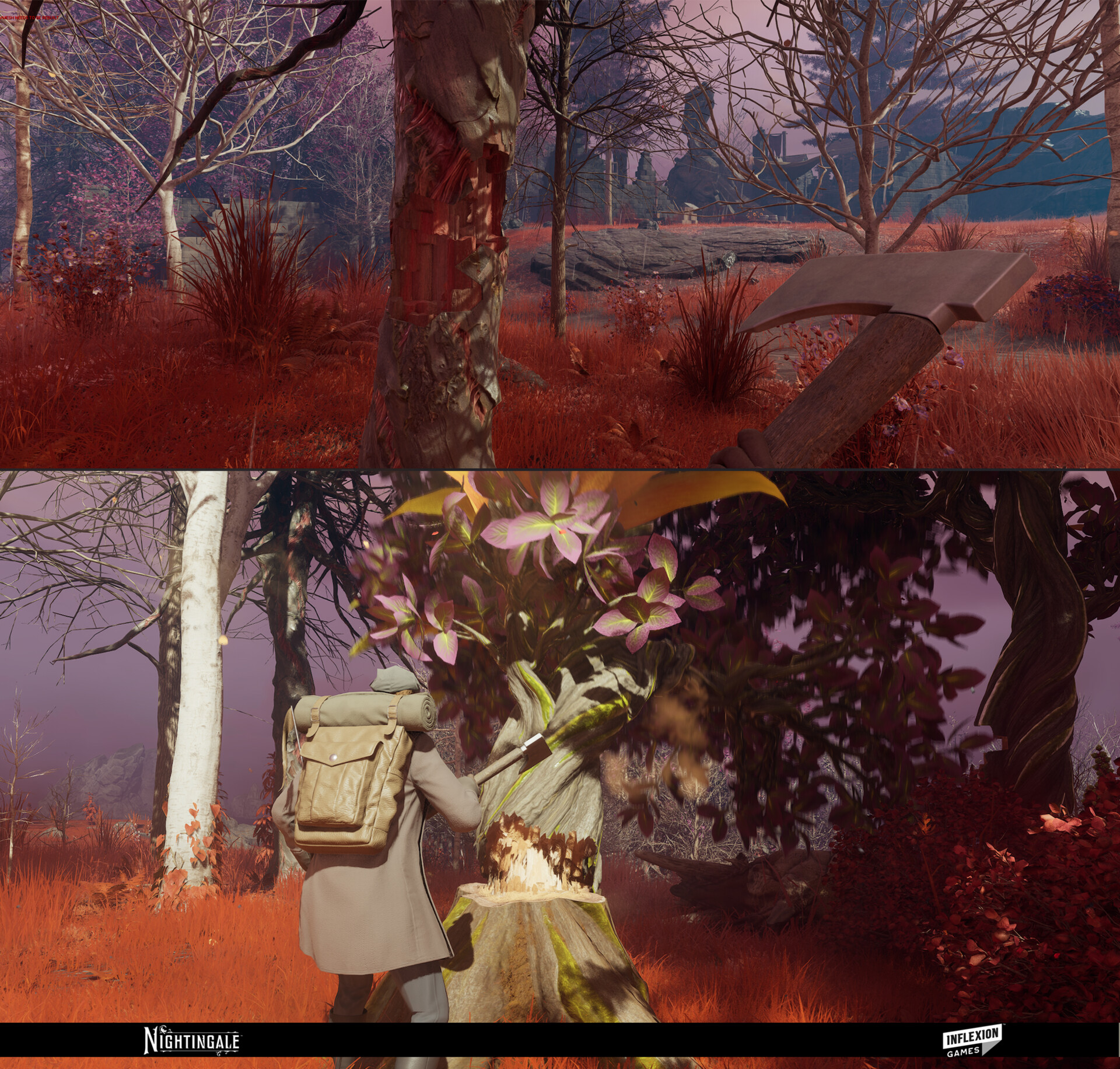 Euan McKay - Nightingale - Tree felling tooling