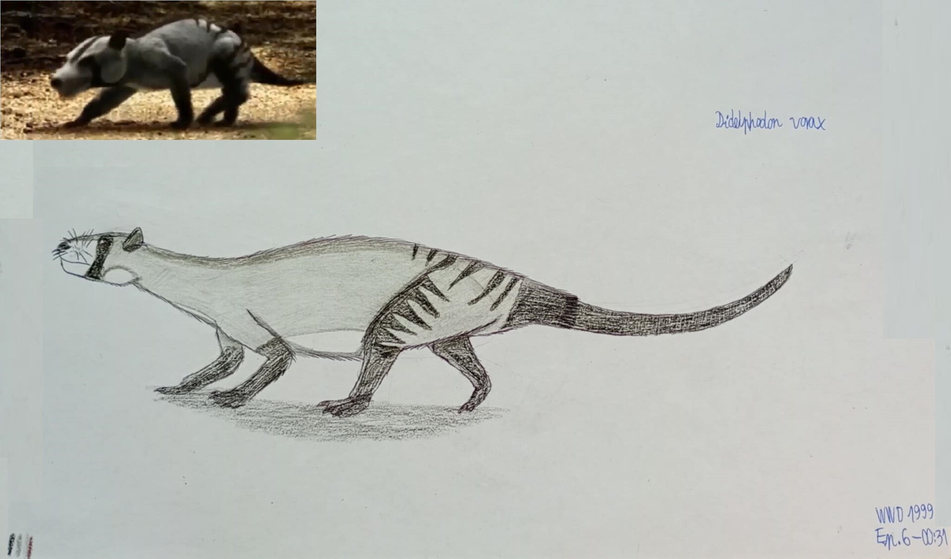 ArtStation - 25Years of Walking with Dinosaurs - Episode 6. Death of ...