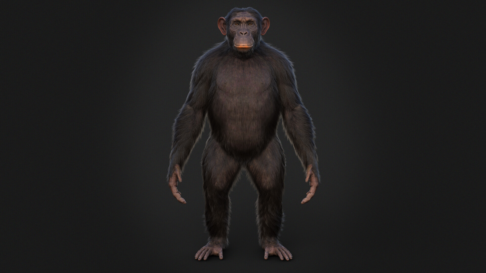 ArtStation - Chimpanzee