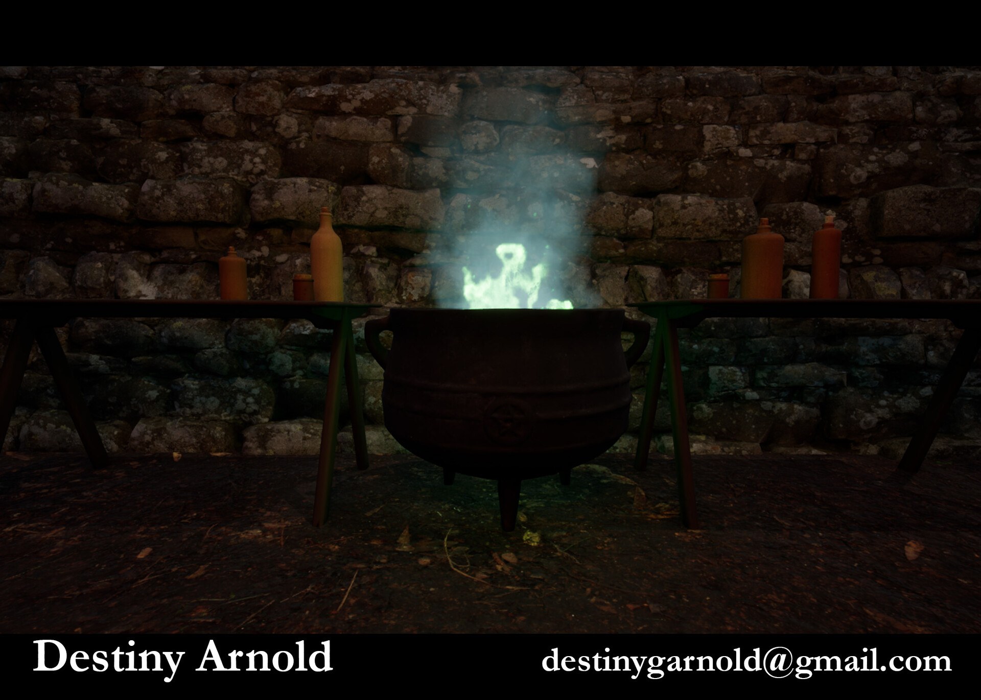 Destiny Arnold - LVL Class Projects