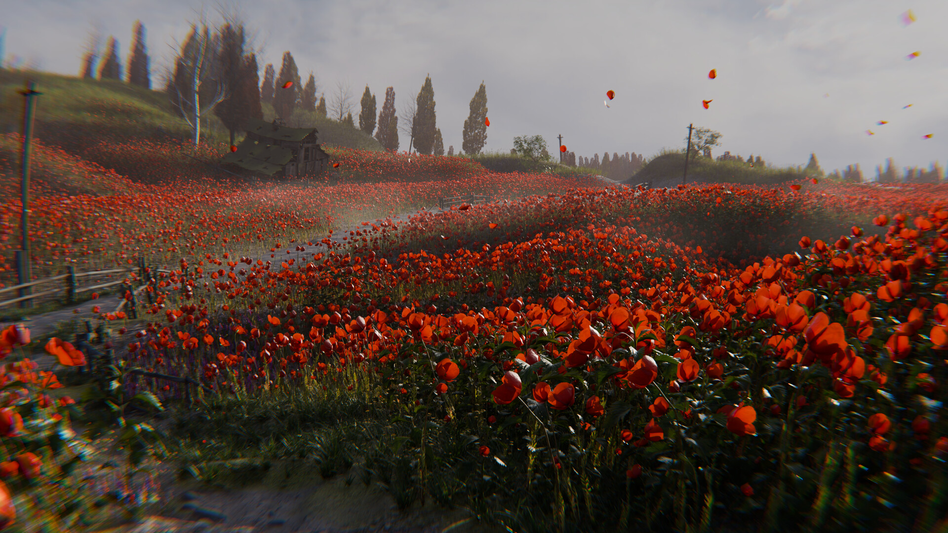 ArtStation - Red Poppy Field - S.T.A.L.K.E.R. 2 Scene Recreation in Blender