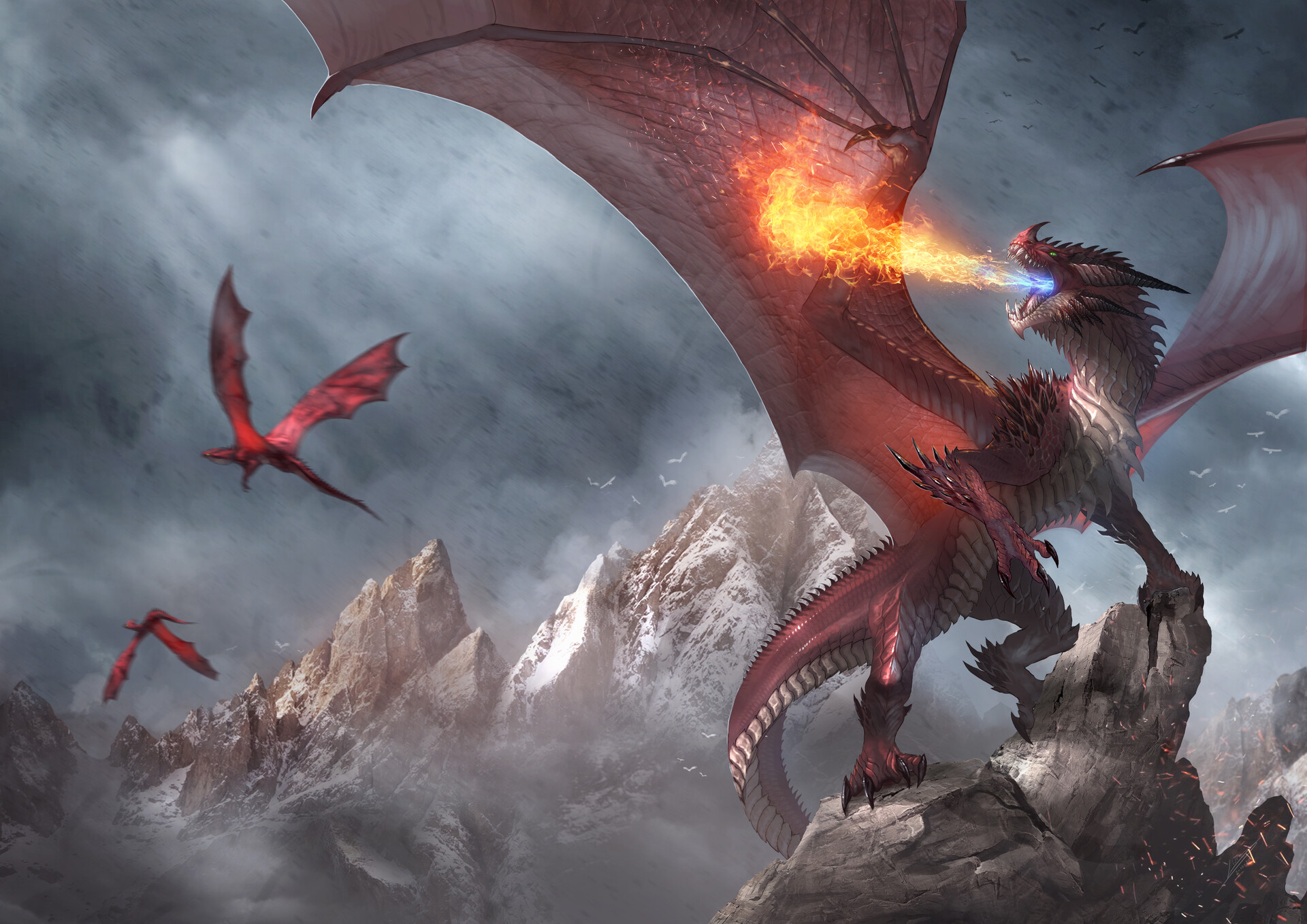 Dragolisco - Step by step process