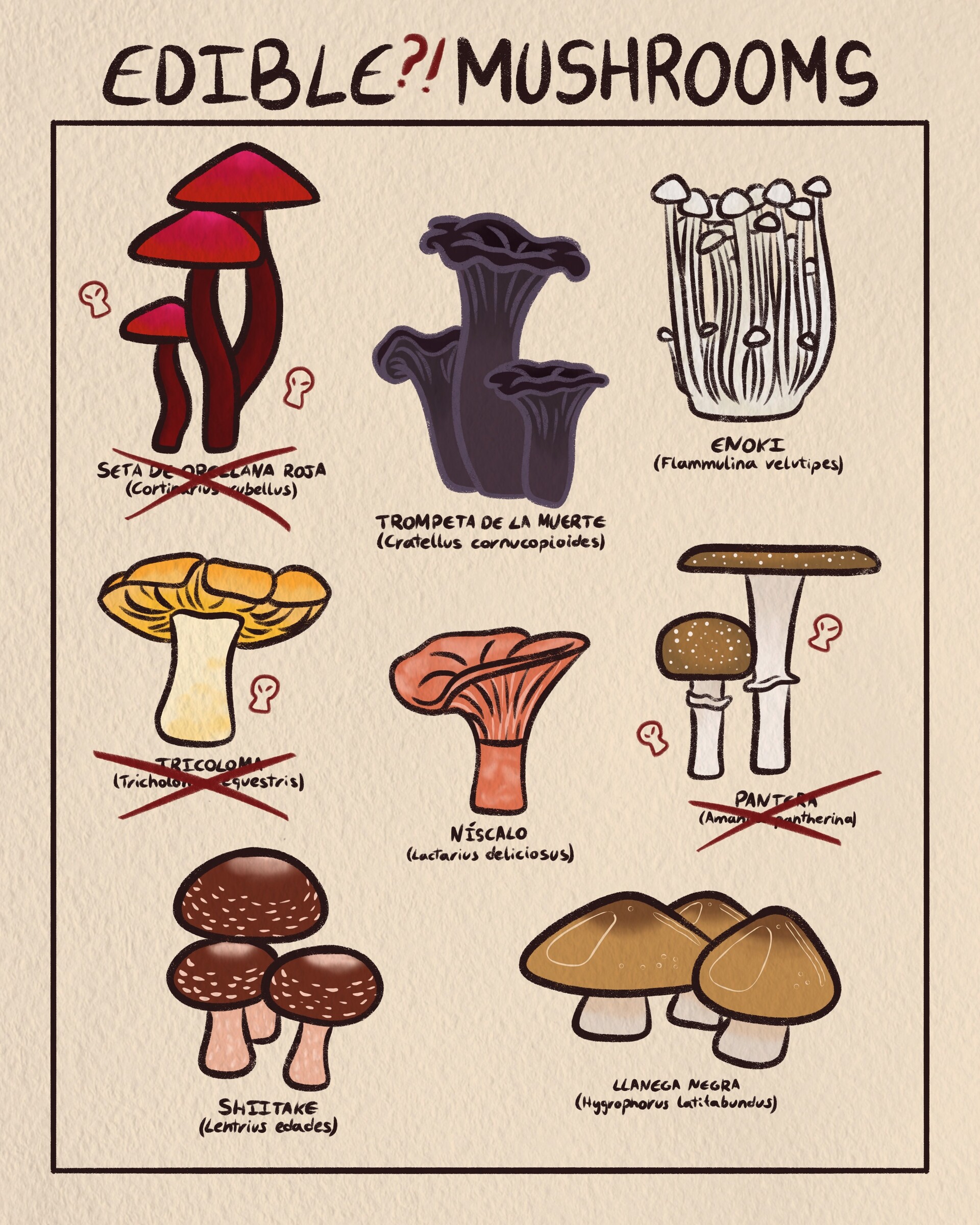 ArtStation - Fungi