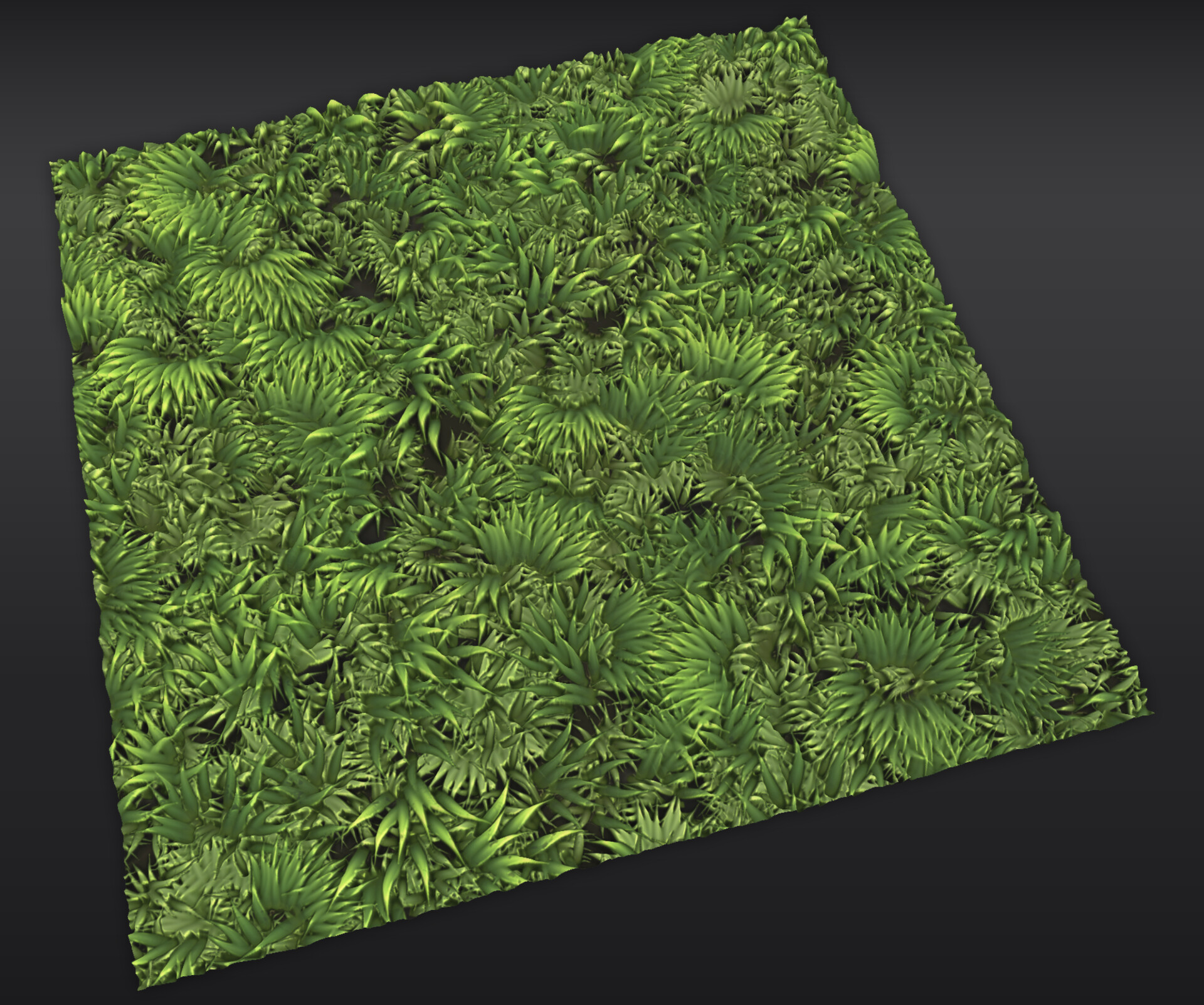 Andrew Bishop - Stylsied Grass 2