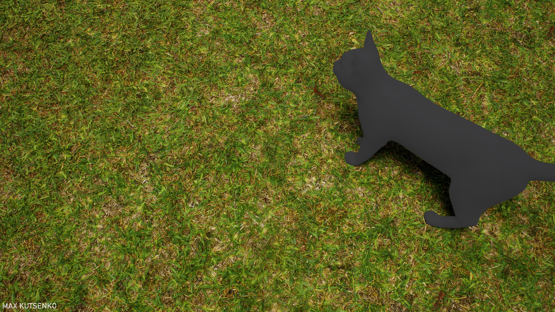 Max Kutsenko - Grass scan
