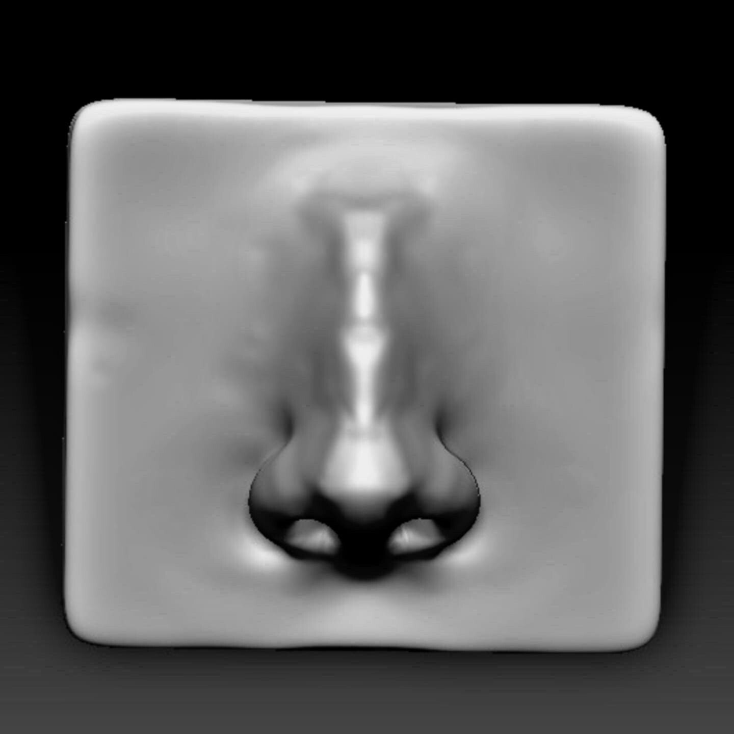 ArtStation - Detail Nose